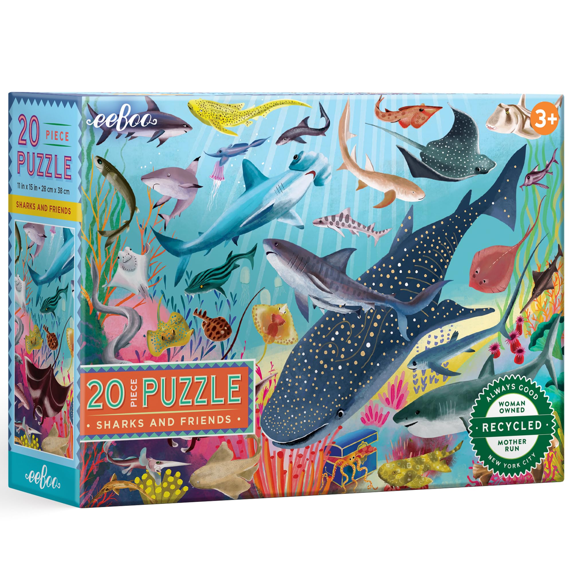 Amazon.com: eeBoo: Sharks & Friends - 20 Piece Puzzle - 15 x 11 Kids ...