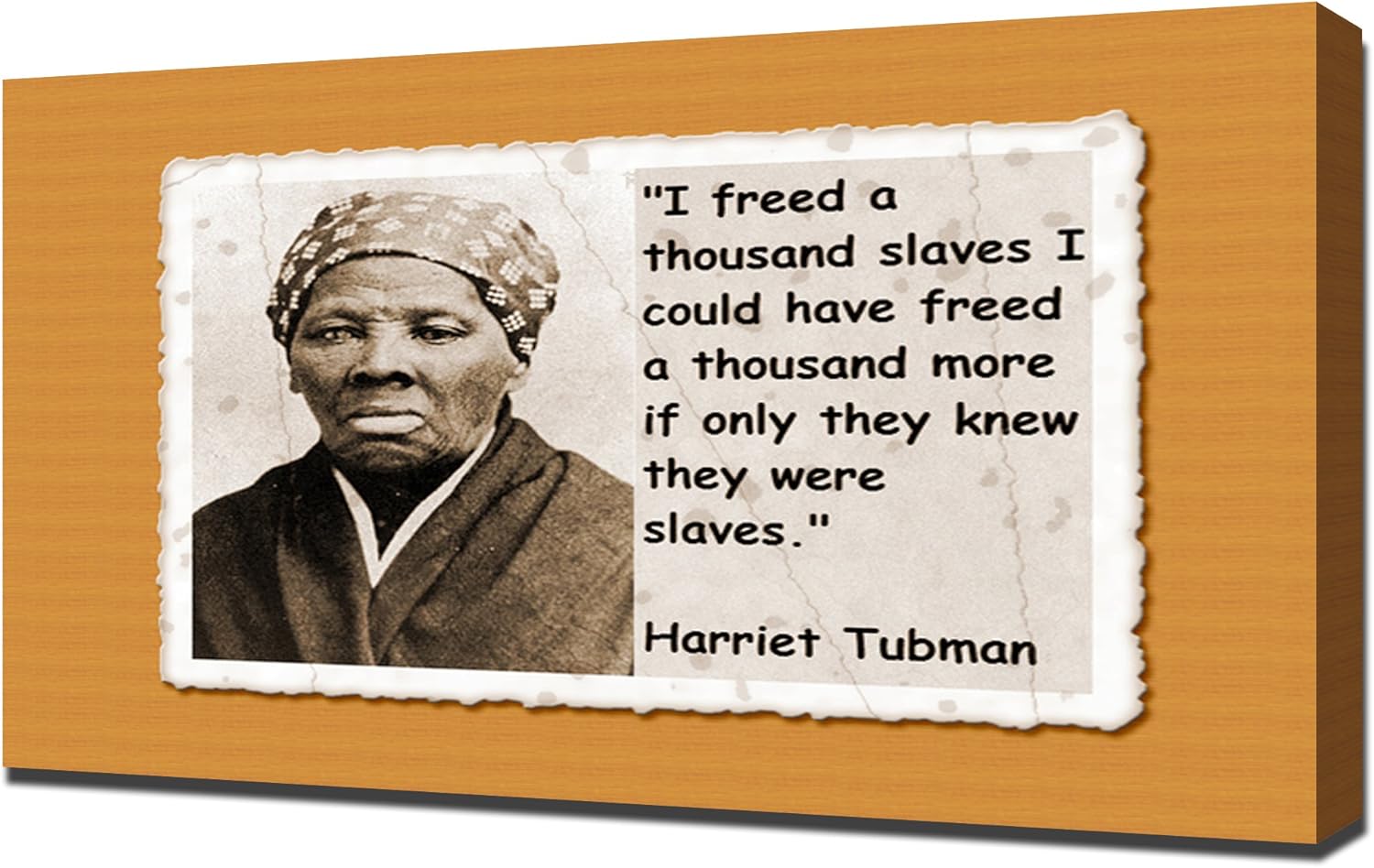 Amazon.com: Harriet Tubman Quotes 2 - Canvas Art Print: Posters & Prints