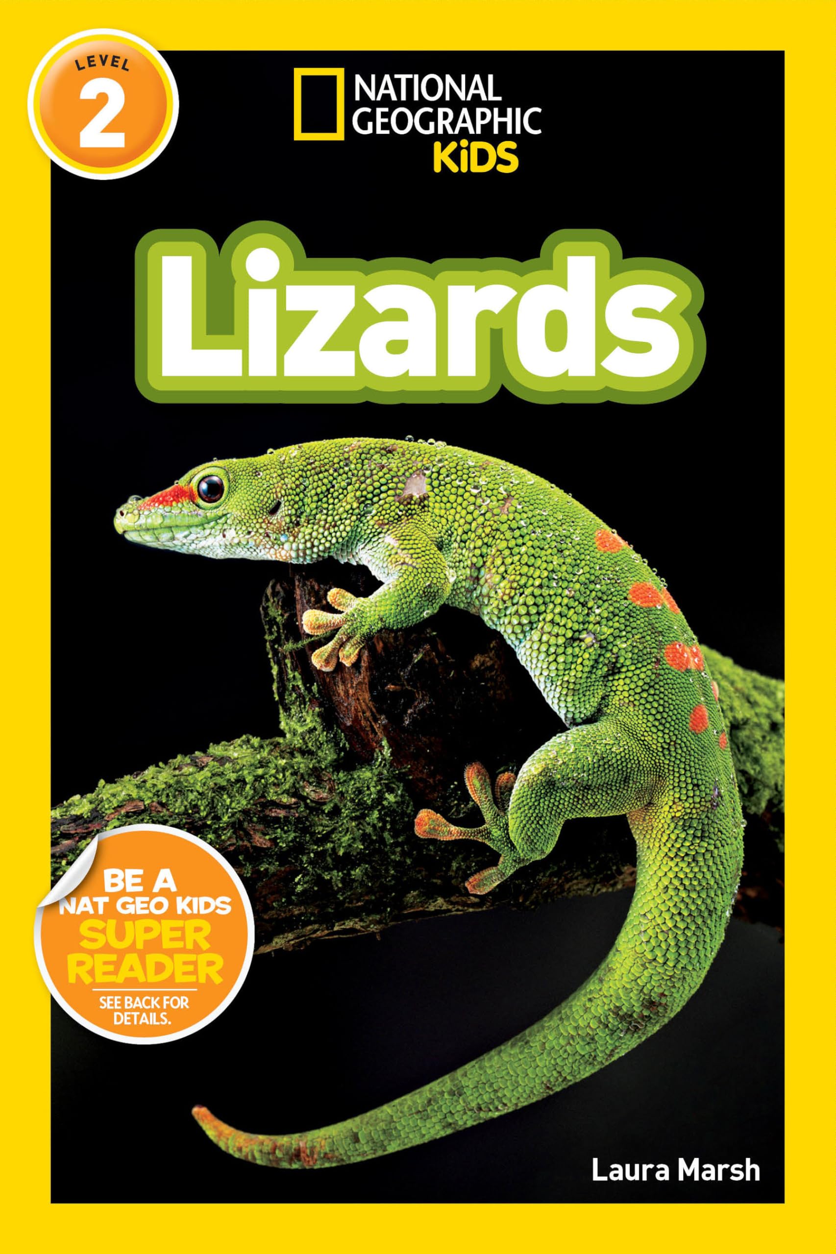 Amazon.com: National Geographic Readers: Lizards: 9781426309236: Marsh ...