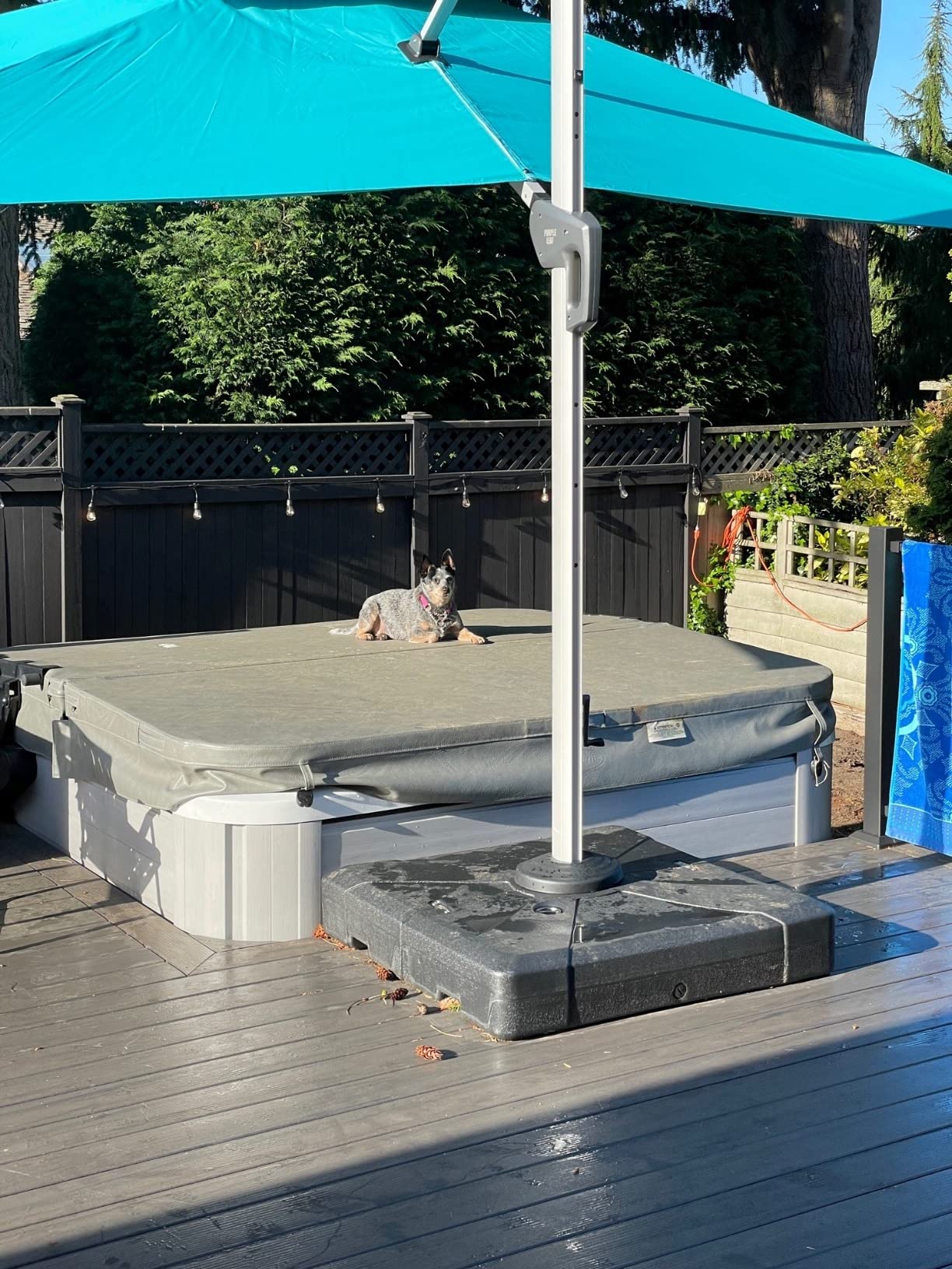 Purple Leaf 12 Feet Double Top Deluxe Square Patio Umbrella at Susan ...