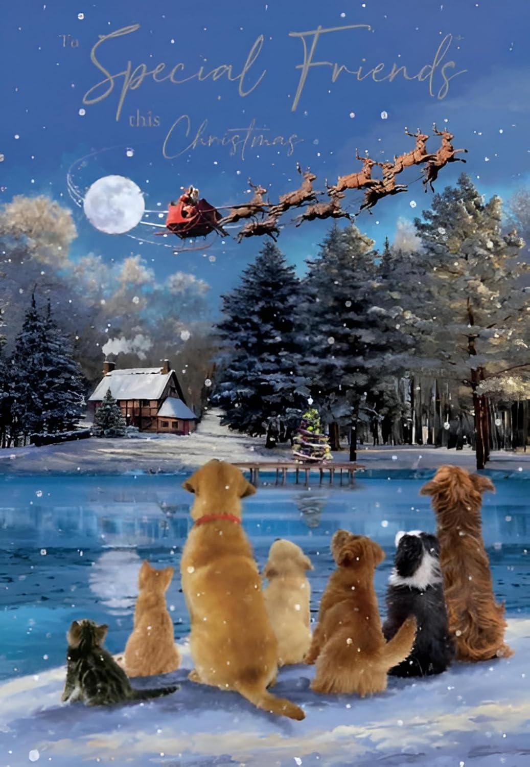 Noel Tatt Special Friends Christmas Card, Single - Christmas Cards with ...