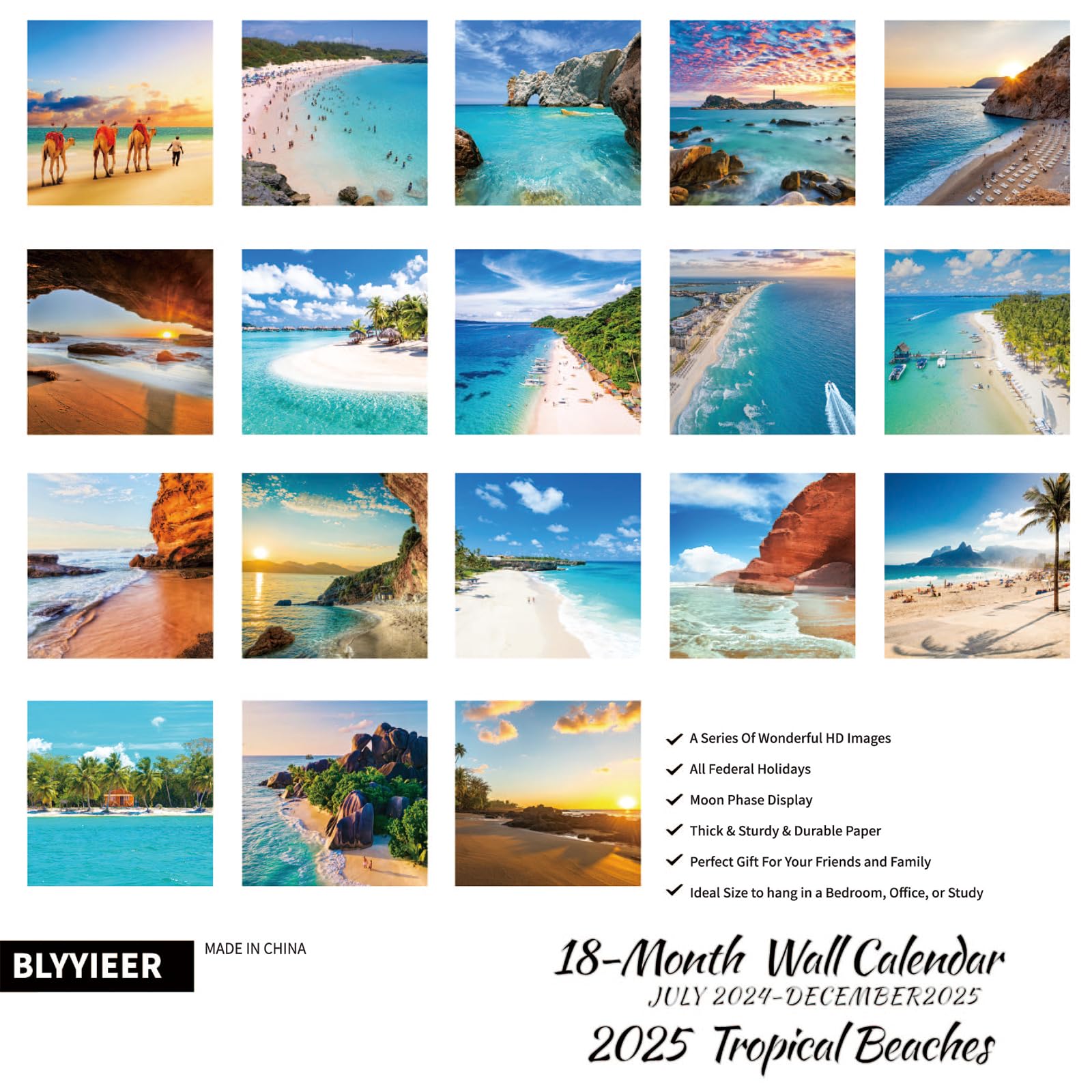 Snapklik.com : 2025 Wall Calendar Tropical Beaches, Hangable Tropic ...