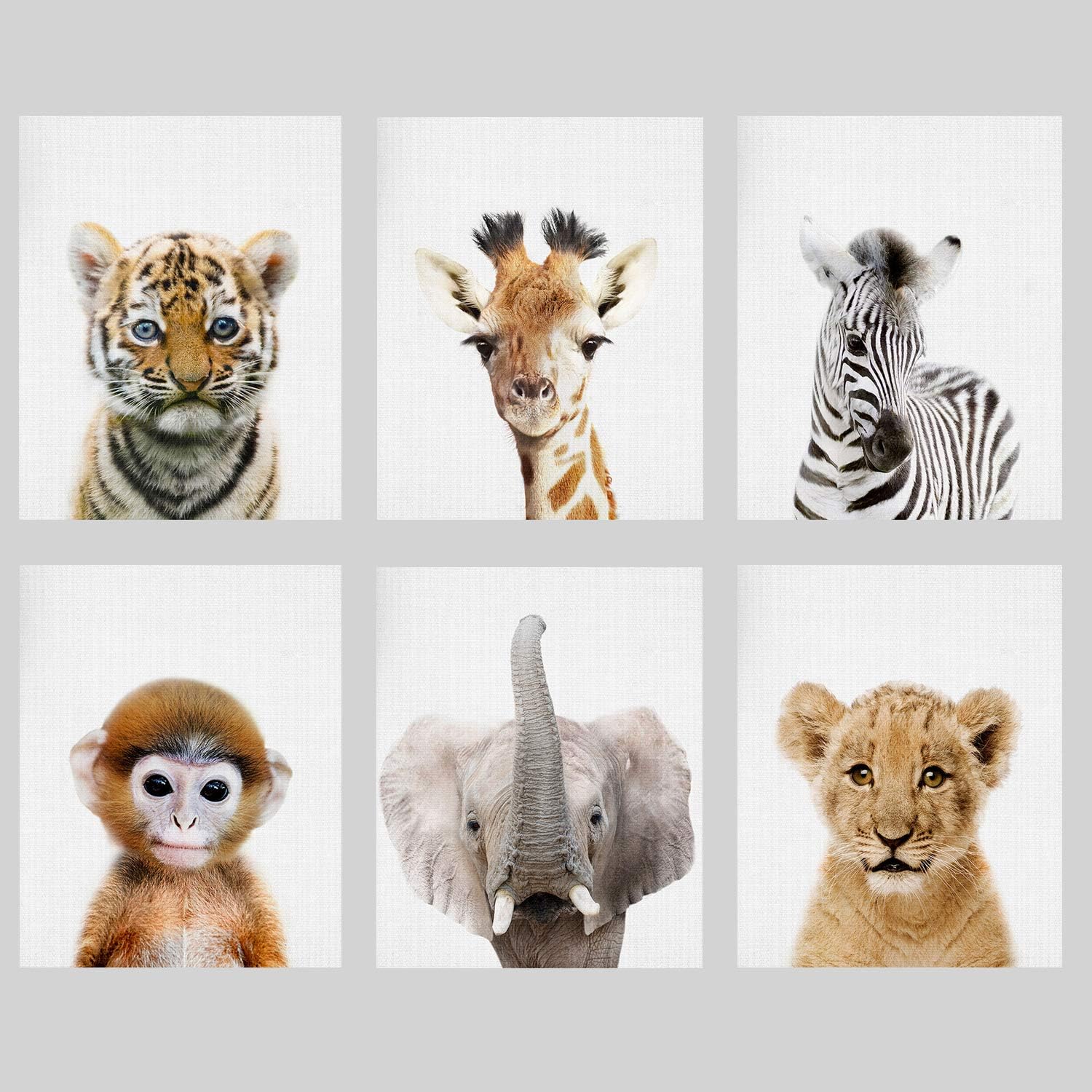 Buy Baby Animal Posters and Prints Baby Nursery Decor Pictures Set of 6 ...