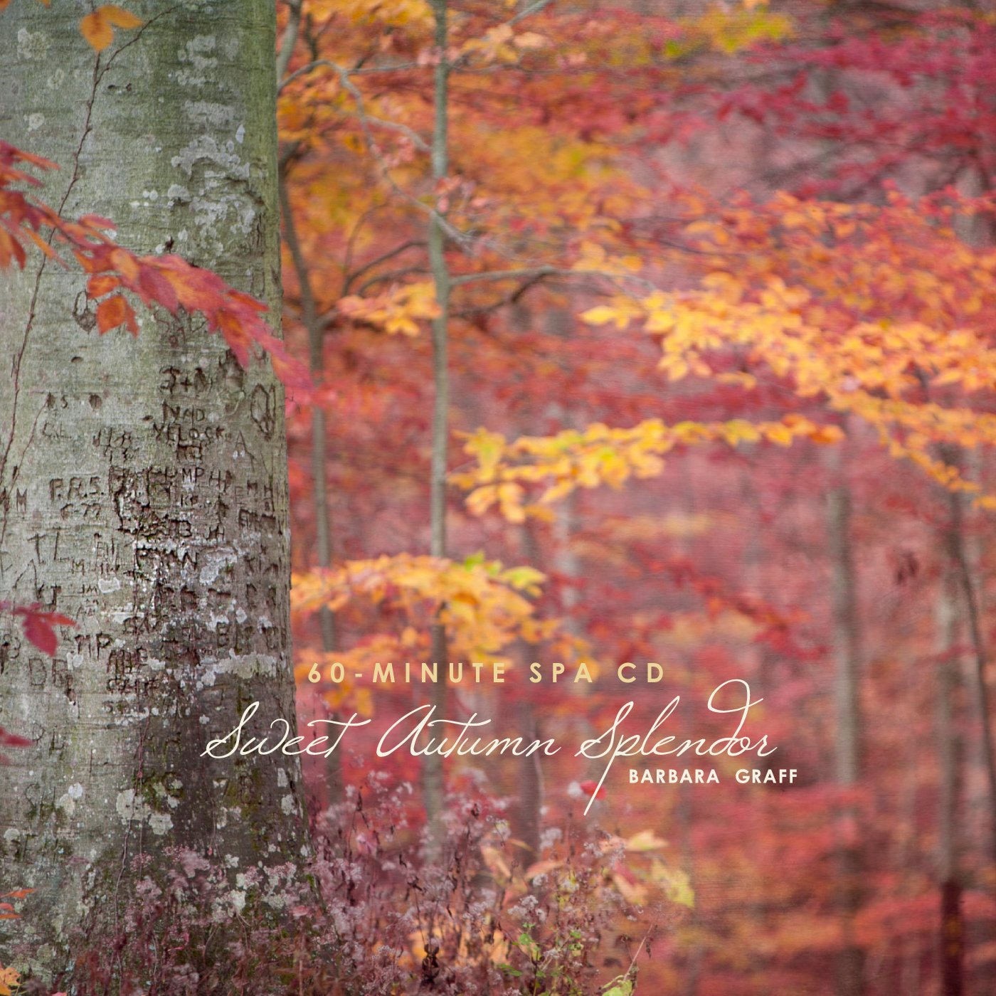 Barbara Graff, Barbara Graff, Barbara Graff, Barbara Graff - Sweet ...