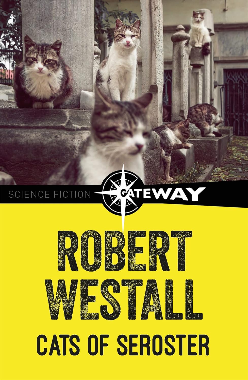 Amazon.com: Cats of Seroster eBook : Westall, Robert: Kindle Store