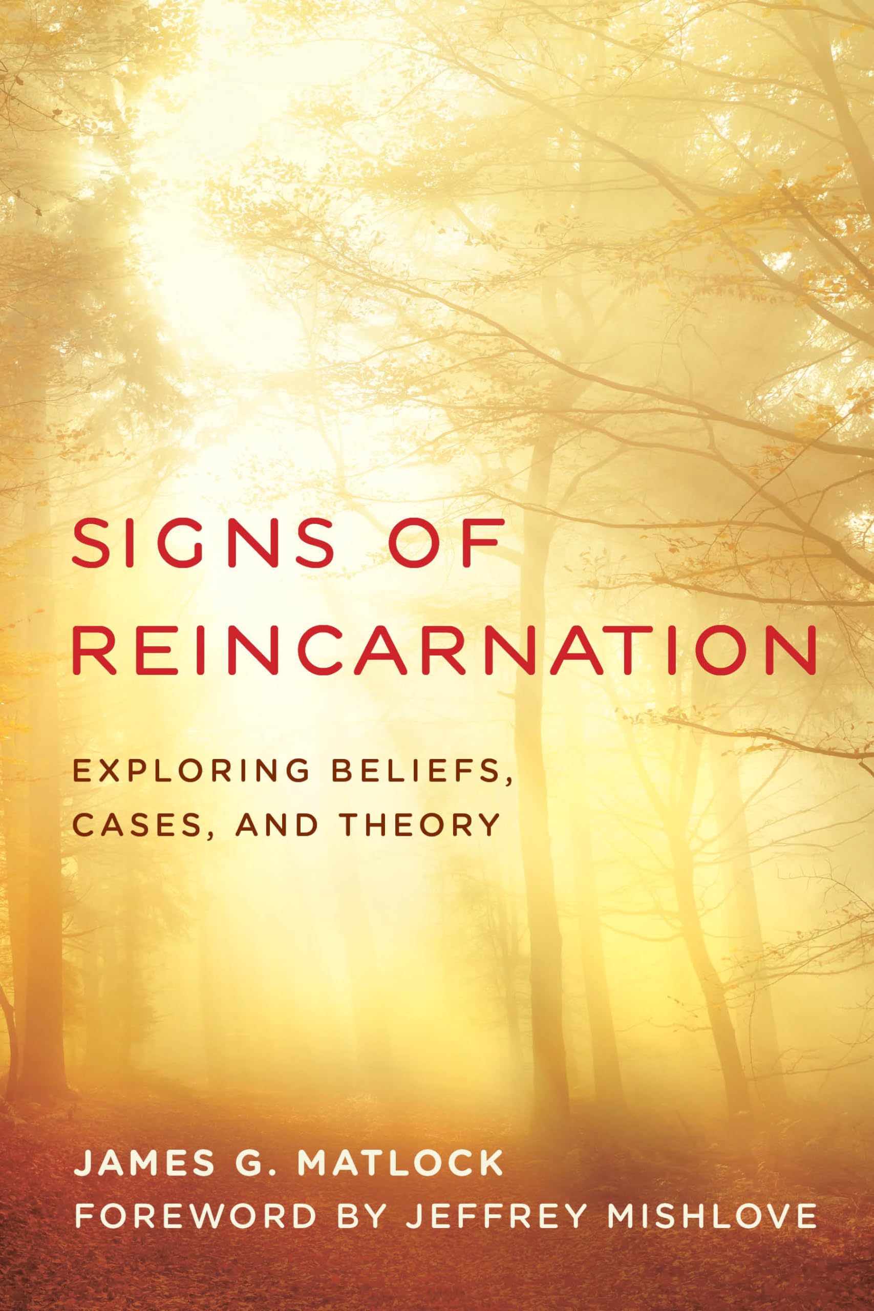 Amazon.com: Signs of Reincarnation: Exploring Beliefs, Cases, and ...