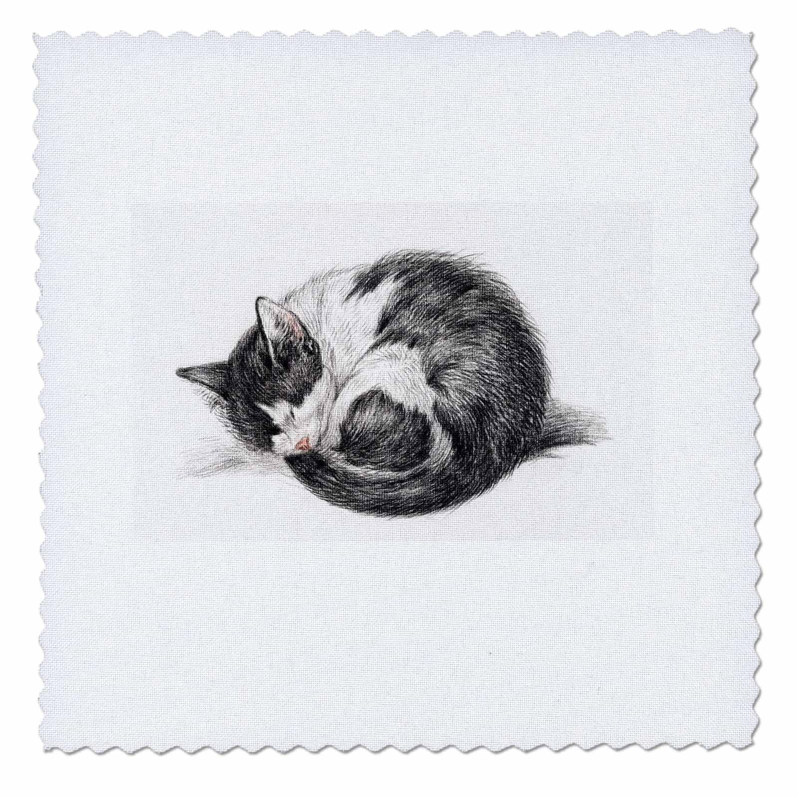 Cat Curled Up Drawing