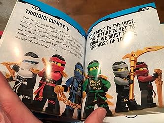 The Ultimate Ninja Training Manual (LEGO Ninjago): Rusu, Meredith ...
