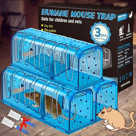 Amazon.com: Kat Sense Large Humane Rat Traps, Set of 2, Catch and ...