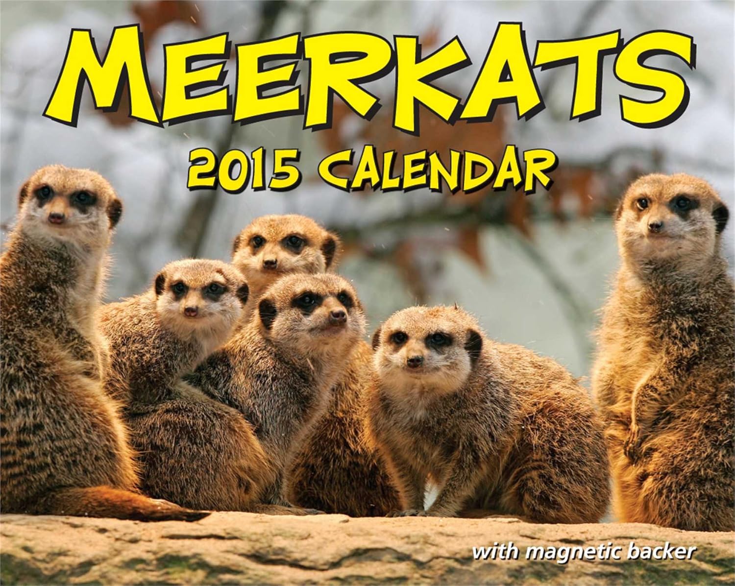 Amazon.com: Meerkats 2015 Mini Day-to-Day Calendar: 9781449452452 ...