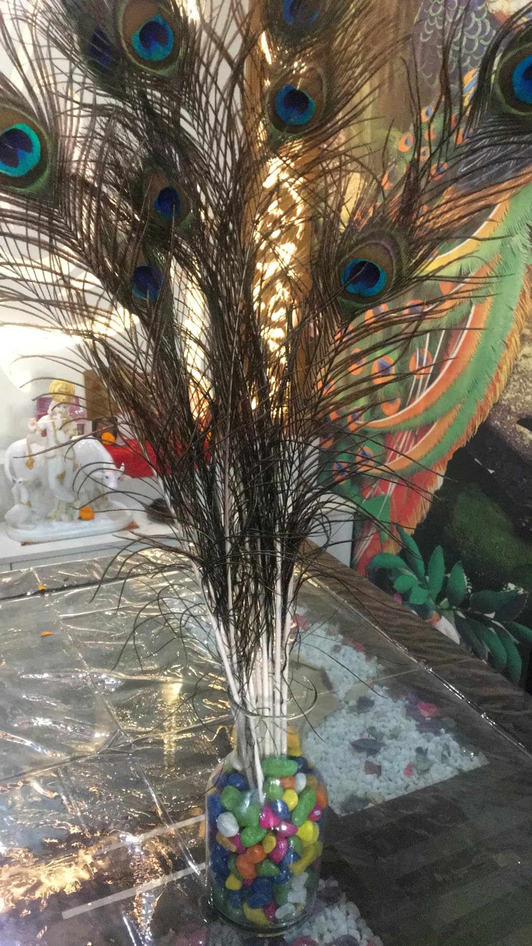 Red Crush Mor Pankh Real Peacock Feather Original Tails Décor Big and ...