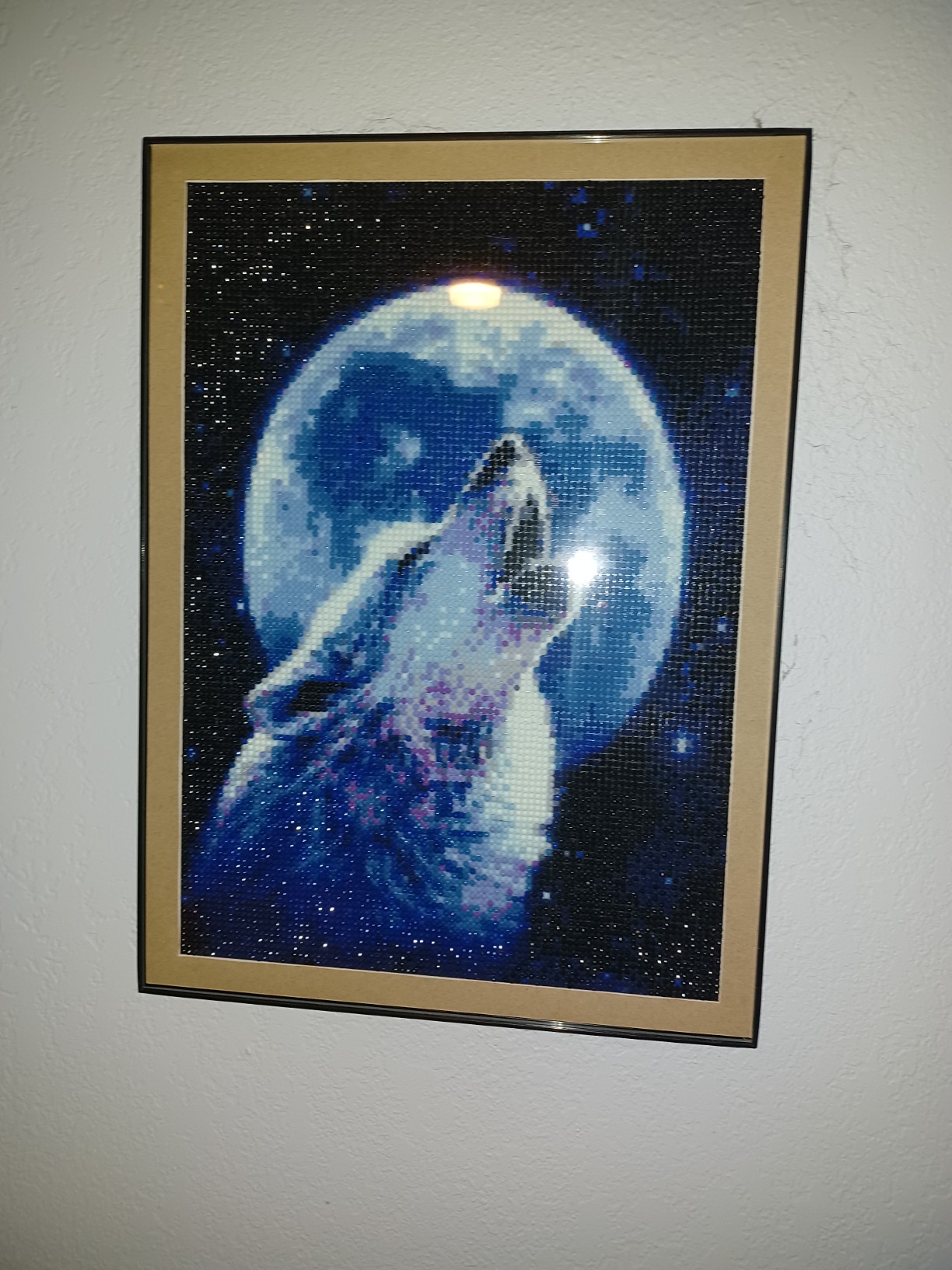 Amazon.com: RICUVED DIY 5D Diamond Art Kits for Adults, Wolf Diamond ...