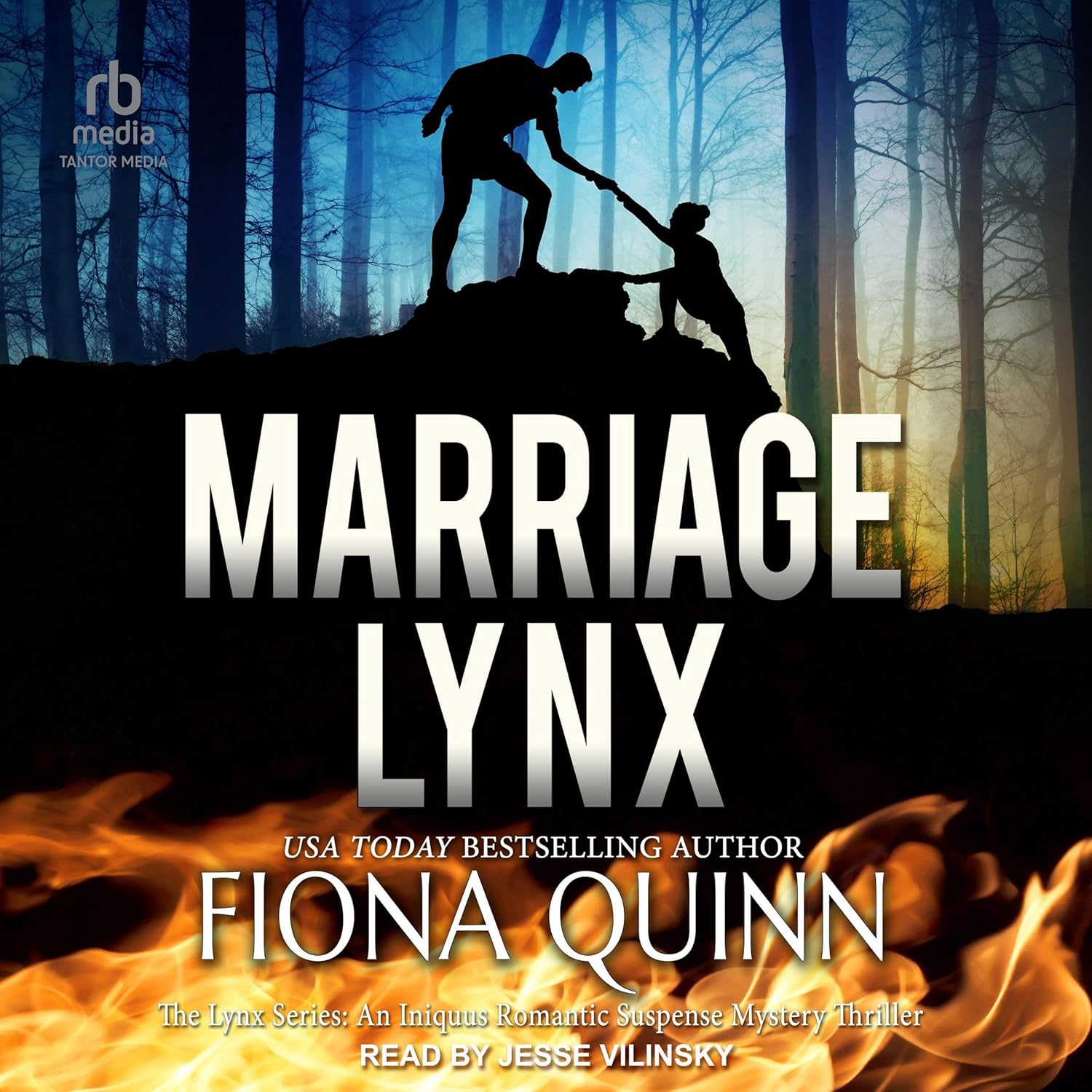 Amazon.com: Marriage Lynx: 9798874775605: Fiona Quinn: Books