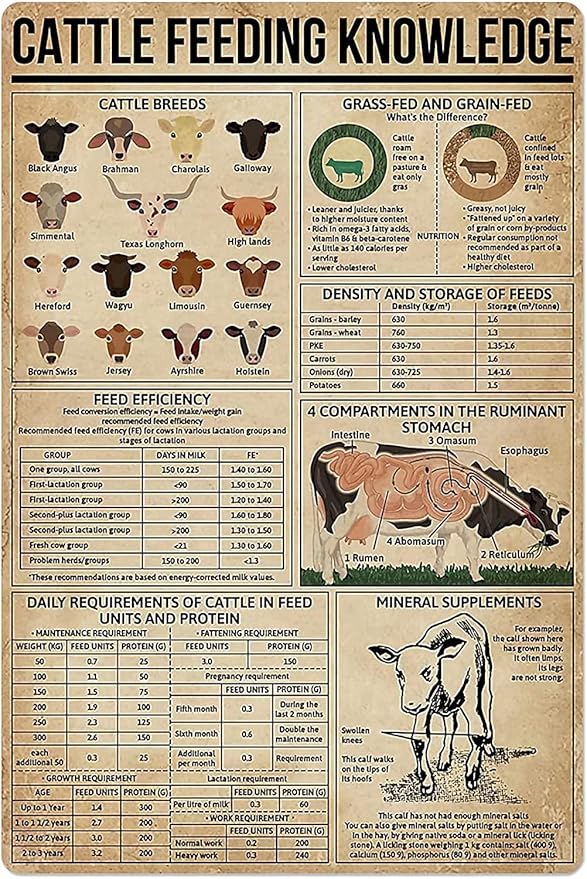 Amazon.com : Cow Knowledge Metal Signs Vintage Dairy Cow Retro Poster ...