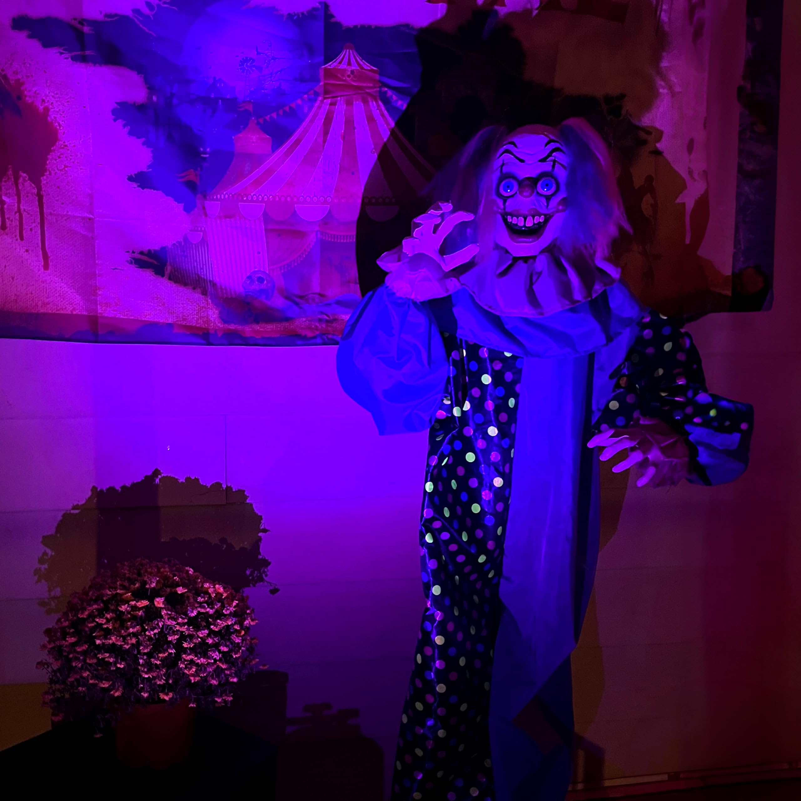 Snapklik.com : Haunted Hill Farm Talking Clown