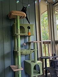 Amazon.com : Meow Sir Large Cat Tree for Large Cats 70 Inches Tall Cat Tower with Large Hammock ...