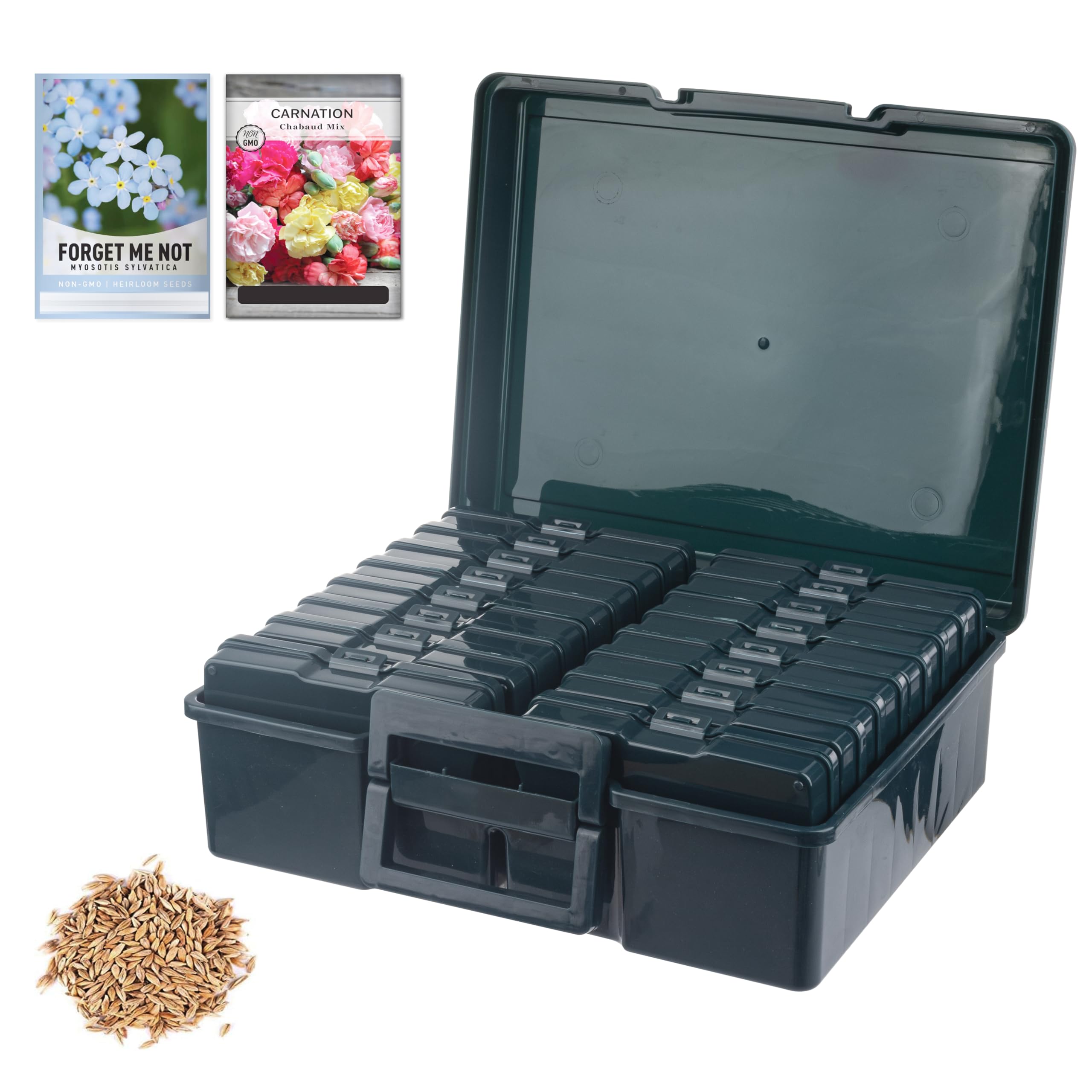 Amazon.com: Find Scrapblooms Dark Green Seed Storage Box with 16 Inner ...