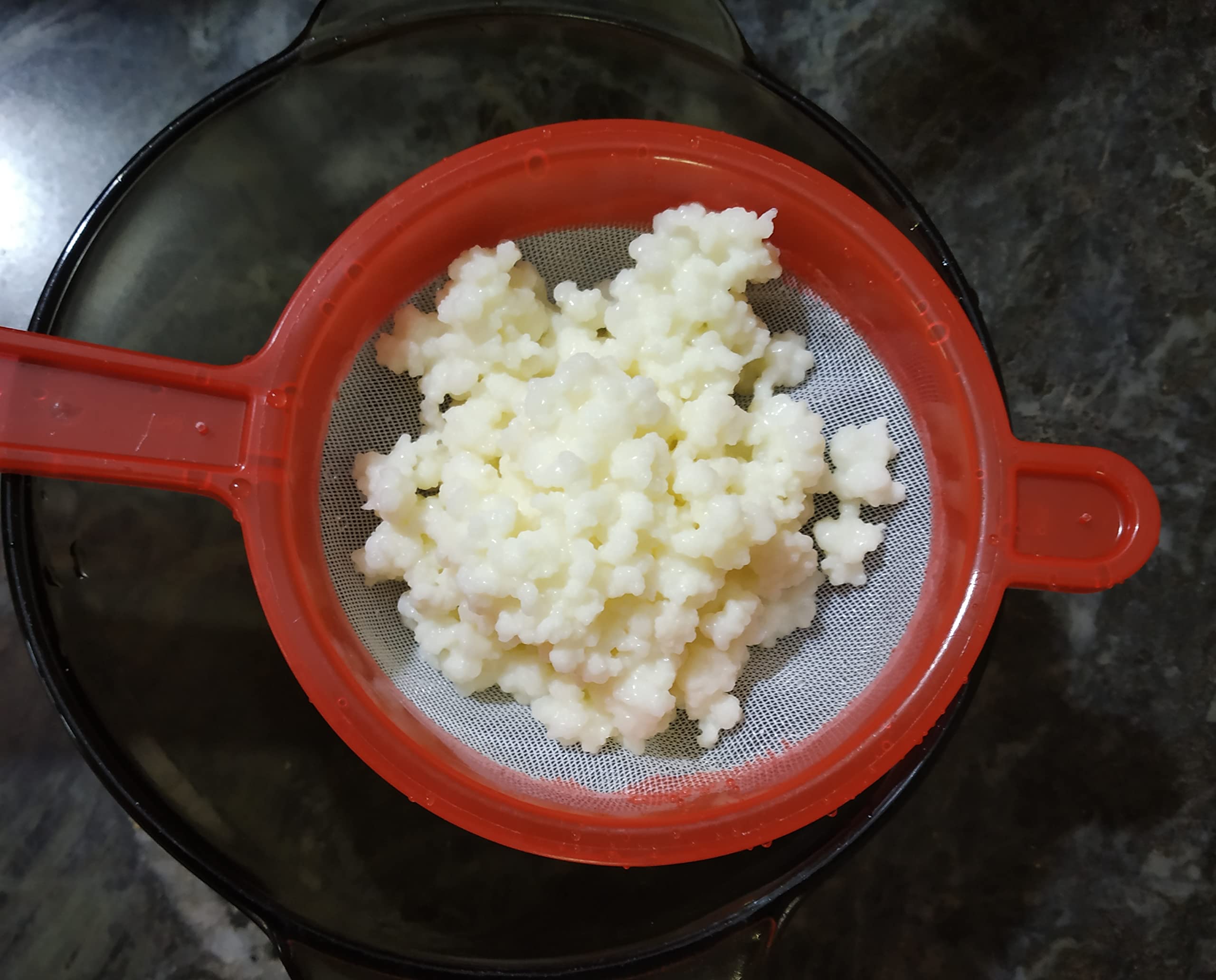 Buy Feelgood Kefir™ - LIVE Russian Origin Milk Kefir Grains (15 grams ...