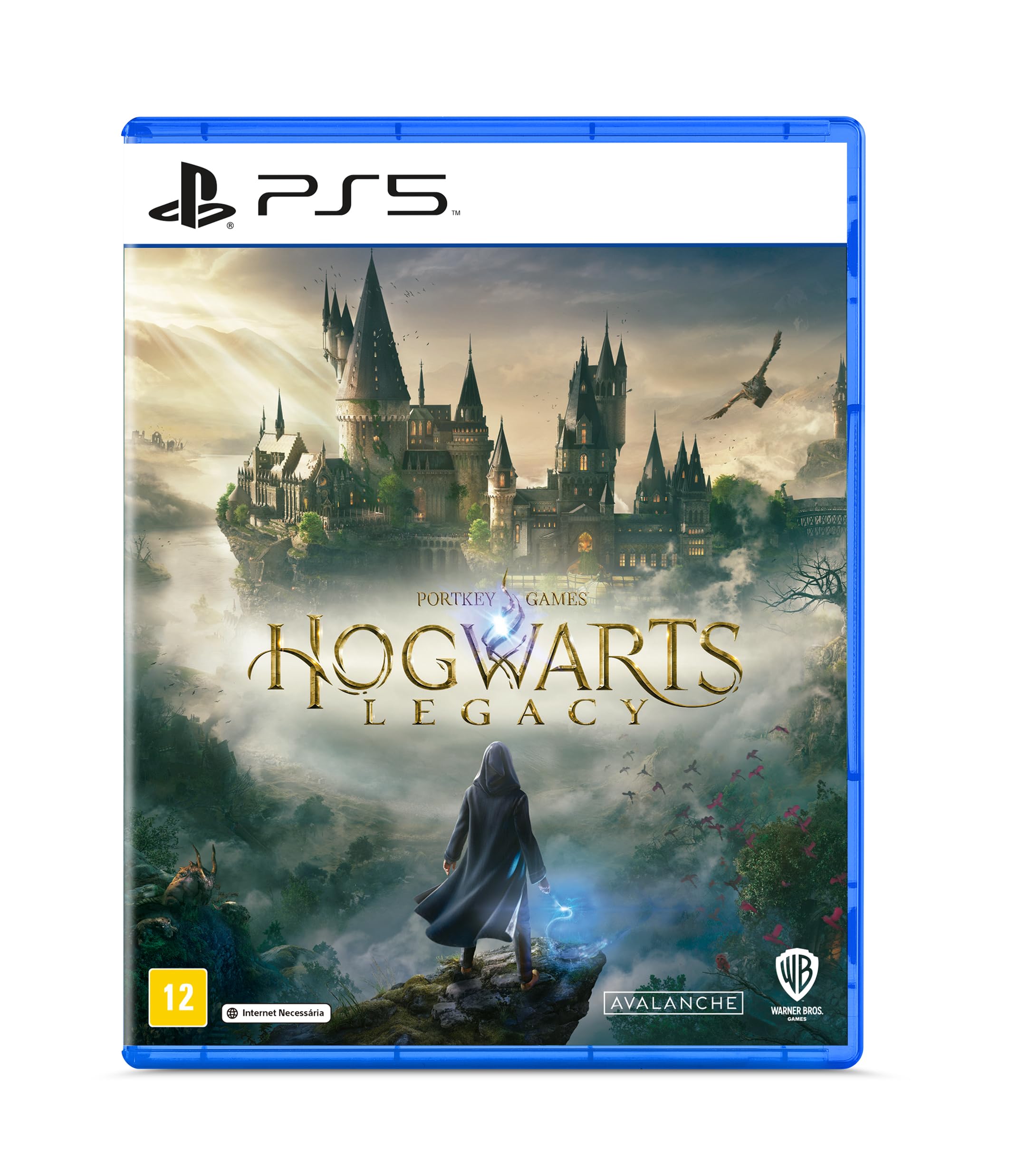 Hogwarts Legacy - PlayStation 5 : Amazon.com.br: Games e Consoles