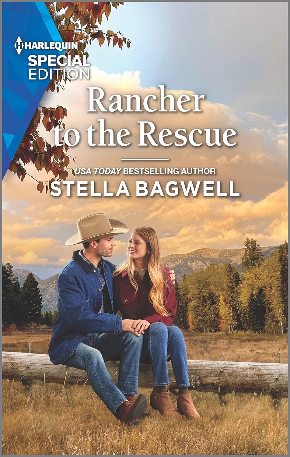 Amazon.com: Rancher to the Rescue (Men of the West Book 52) eBook ...