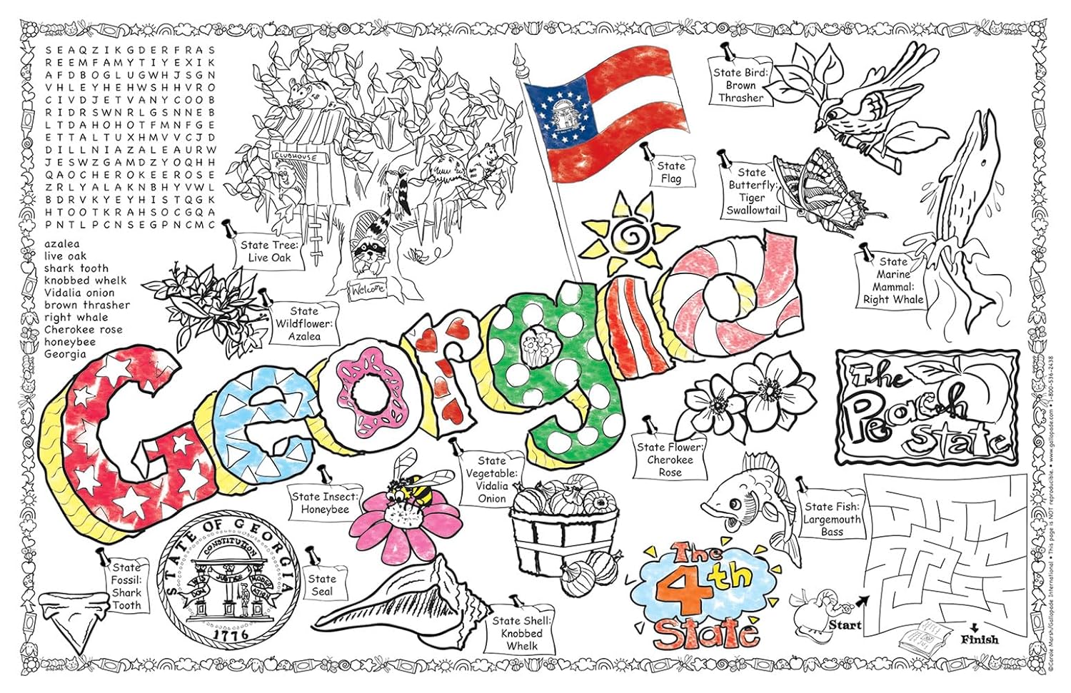 Georgia Symbols & Facts Funsheet - Pack of 30 (Georgia Experience ...