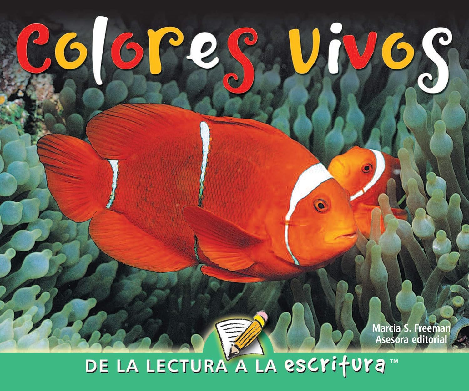 Colores vivos (Readers For Writers - Emergent) (Spanish Edition ...