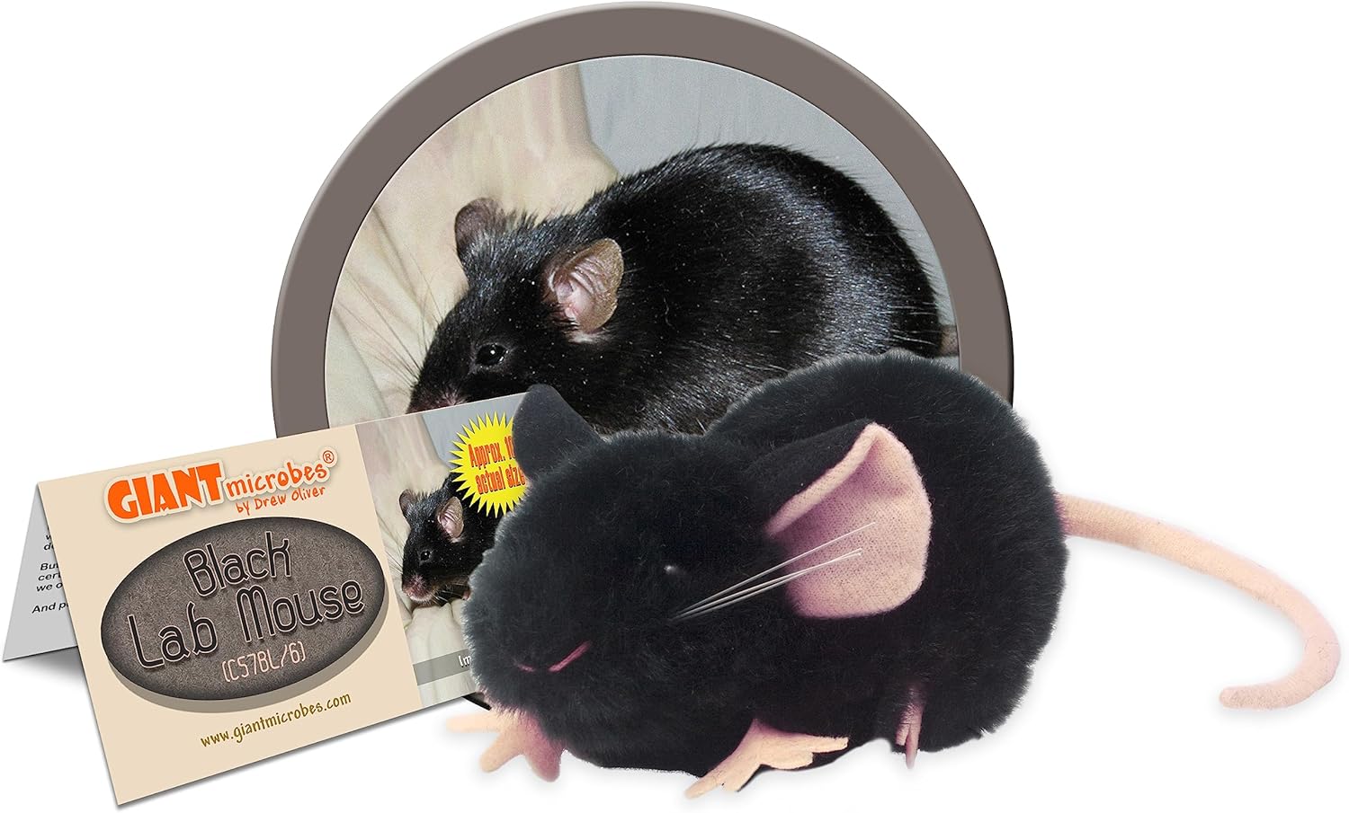 Amazon.com: GIANTmicrobes Black Lab Mouse – Learn about Nature and ...