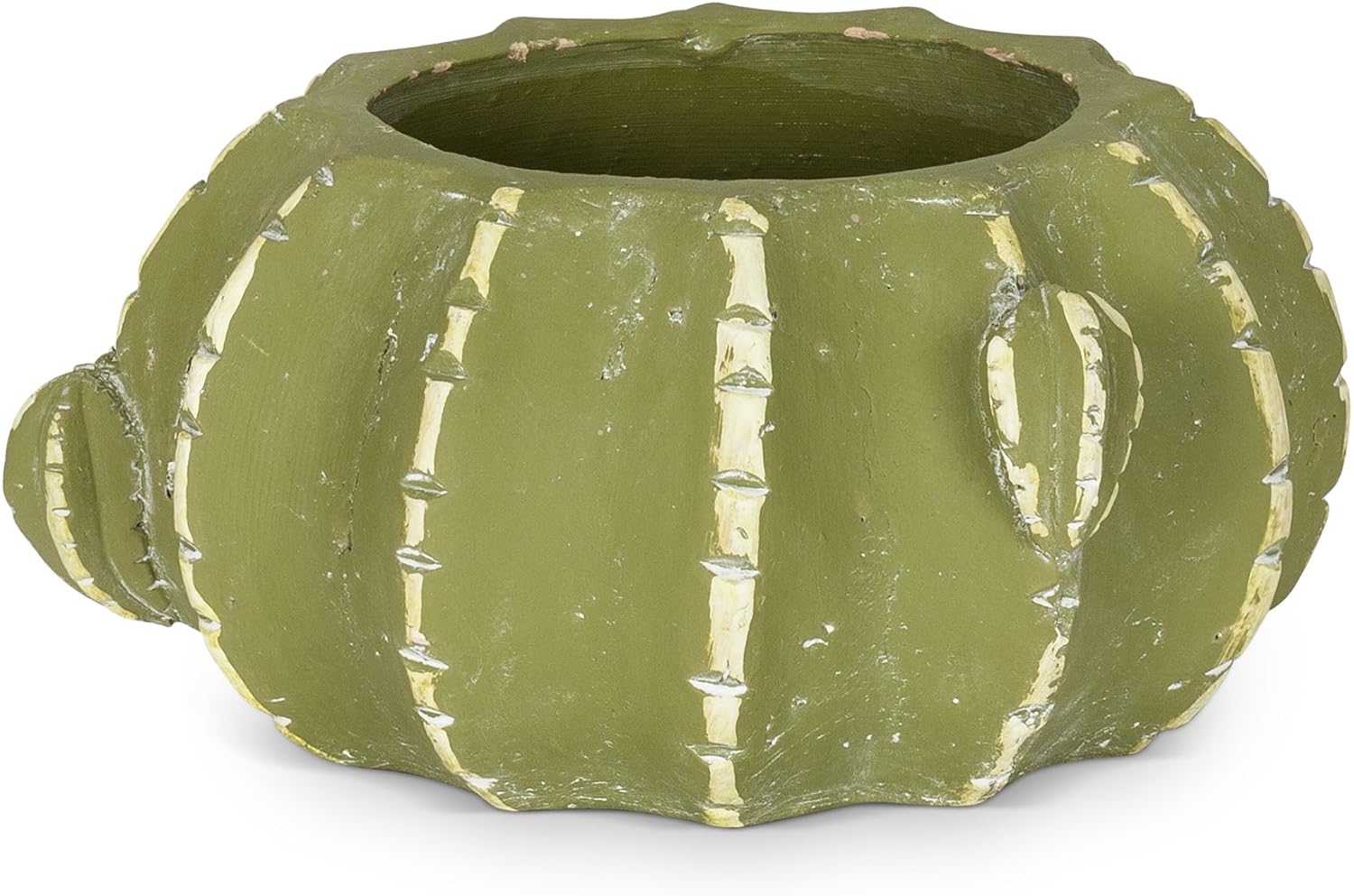 Amazon.com : Abbott Collection Terracotta Shallow Cactus Planter, Green ...