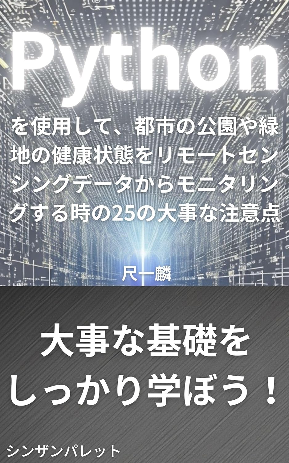 25 important considerations when using Python to monitor the health of ...