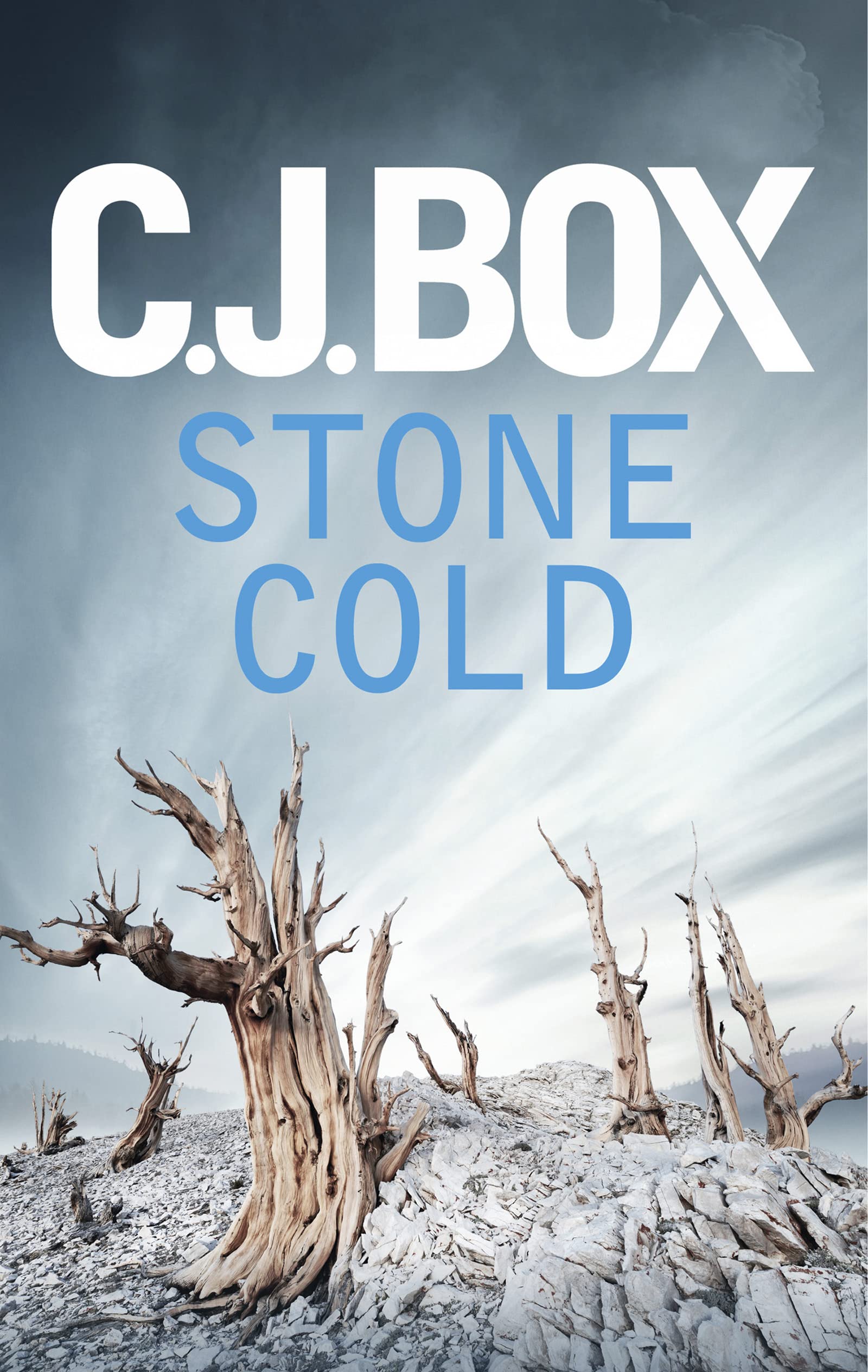 Stone Cold EXPORT: Box, C.J.: 9781781852736: Amazon.com: Books