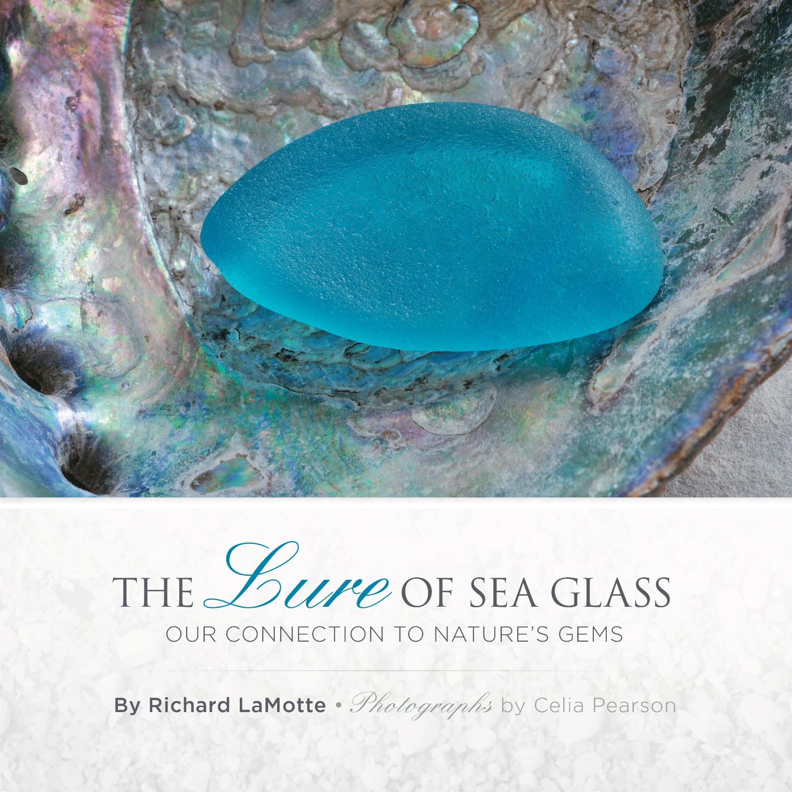 The Lure of Sea Glass: Our Connection to Nature's Gems: LaMotte ...