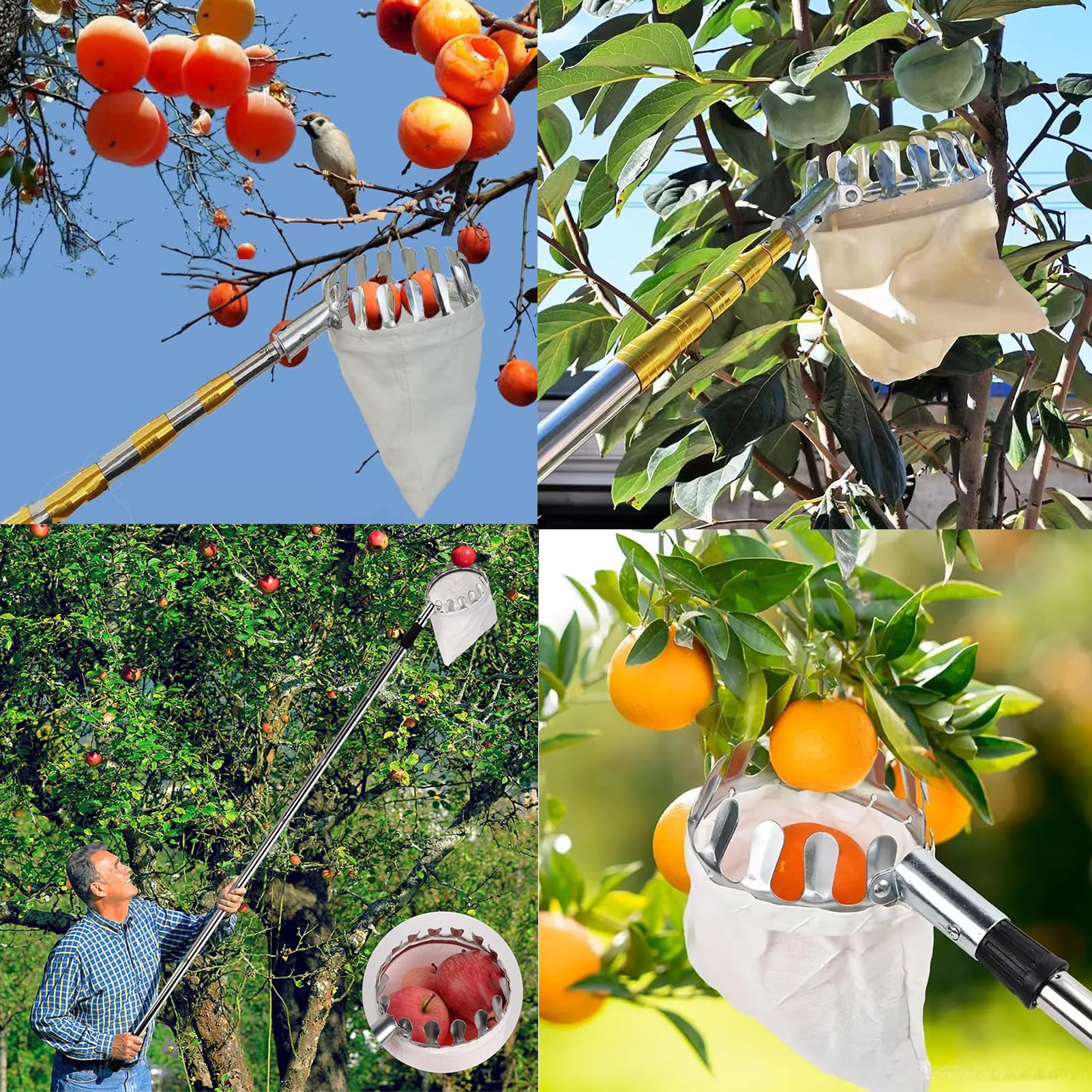 Fruit Picker Equipment