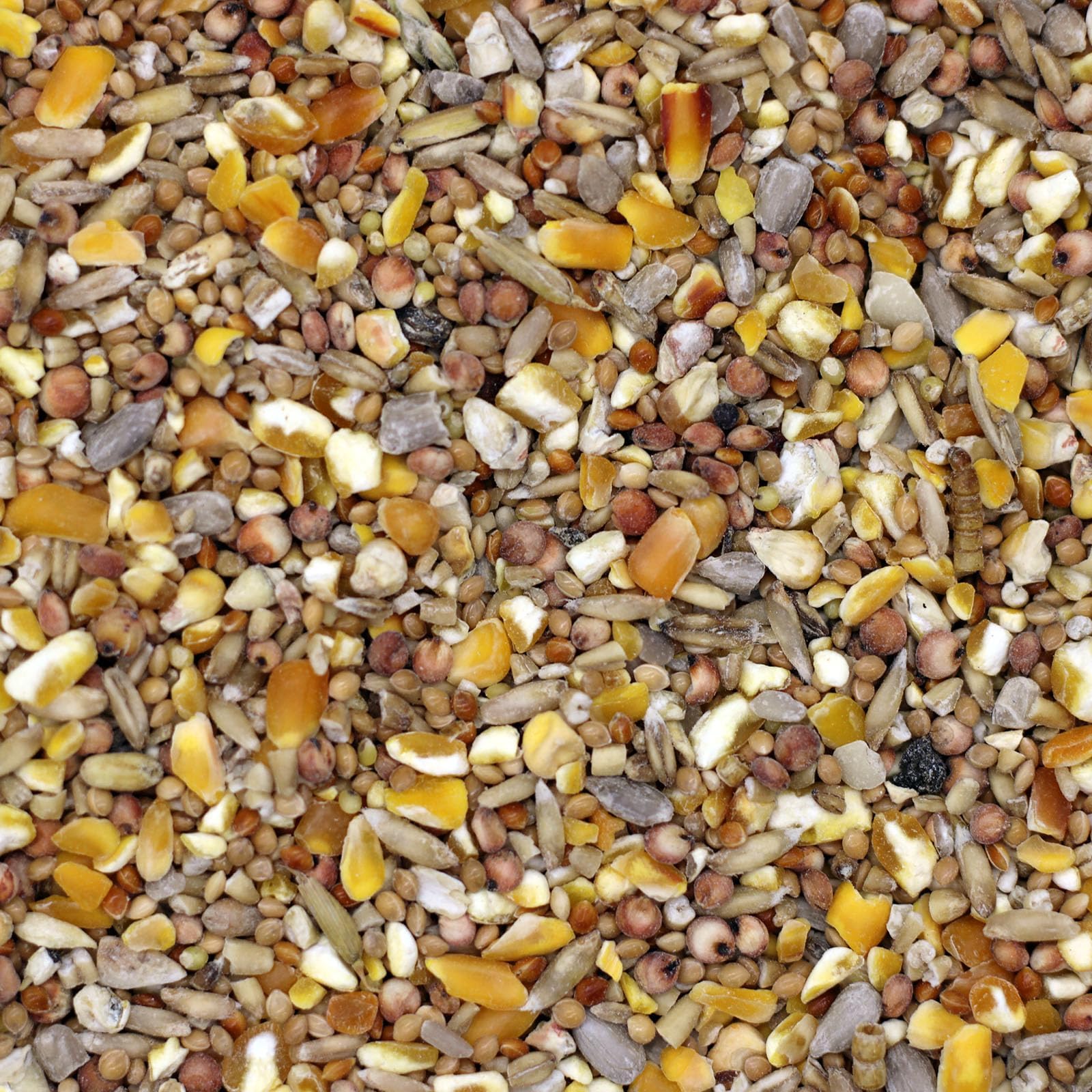 Peckish 60051246 Complete Seed and Nut No Mess Wild Bird Food Mix, 20 ...