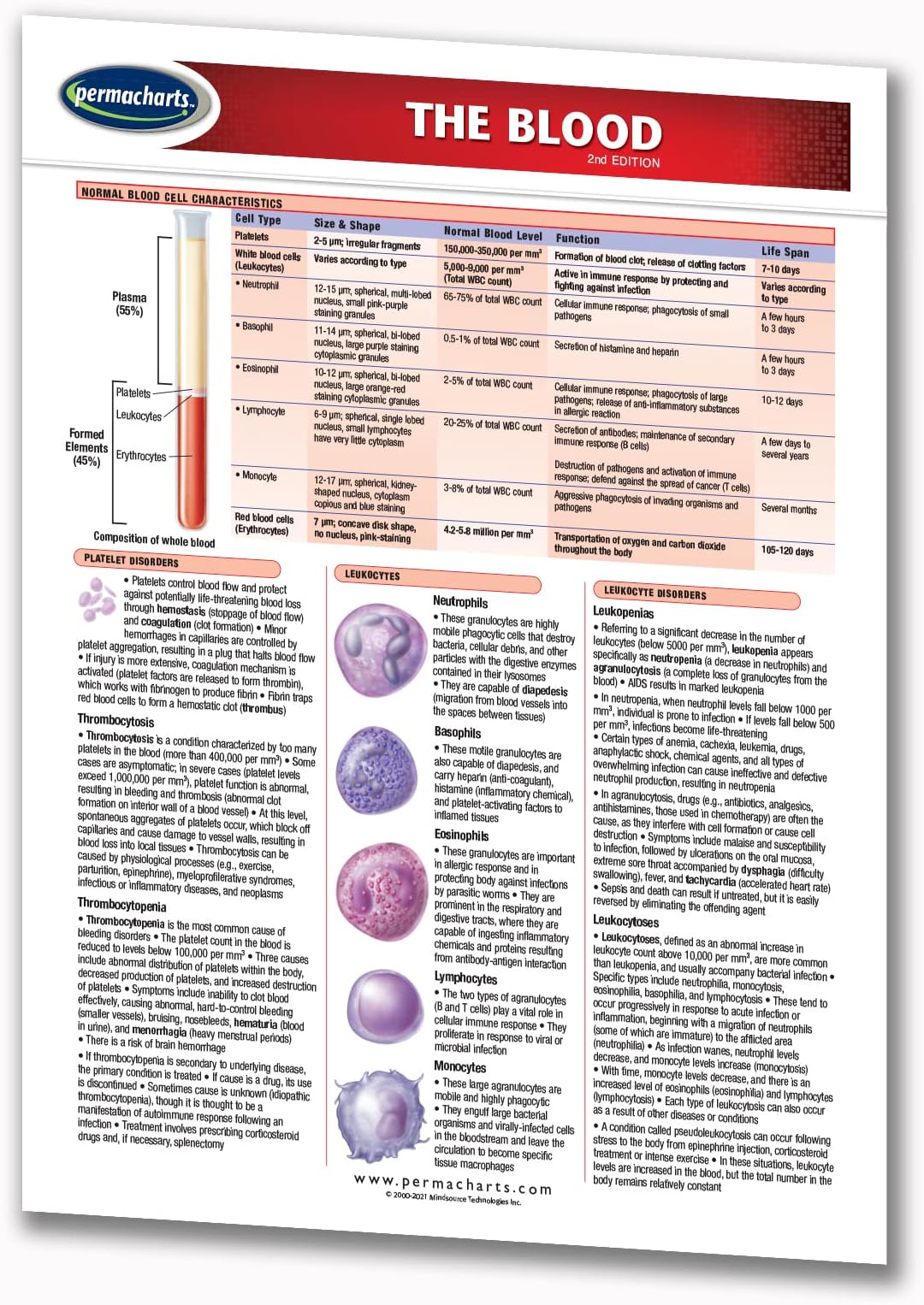 Amazon.com : Cellular Anatomy Guide - 2-page, 8.5" x 11" Laminated ...