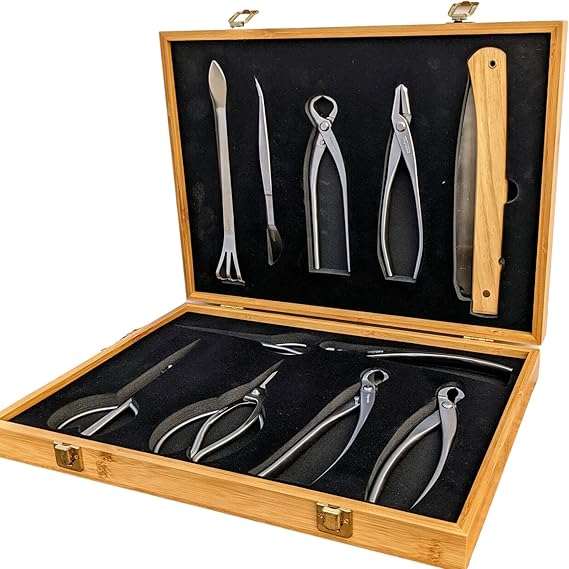 Amazon.com: Bonsai Tool Set by Tinyroots - 11 Piece Set Includes ...