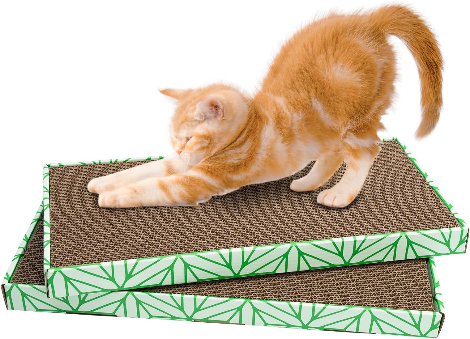 Amazon.com : Bread Cat Scratcher Cardboard, Scratch Pad with Cat ...