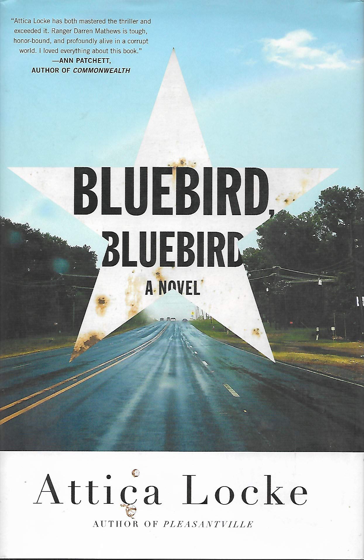 Amazon.com: Bluebird, Bluebird (A Highway 59 Novel, 1): 9780316363297 ...