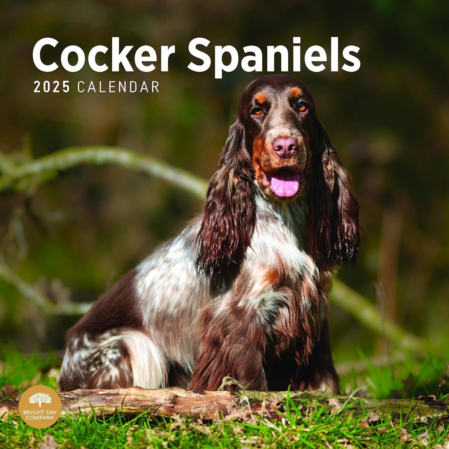 Amazon.com : 2025 Cocker Spaniels Monthly Wall Calendar by Bright Day ...