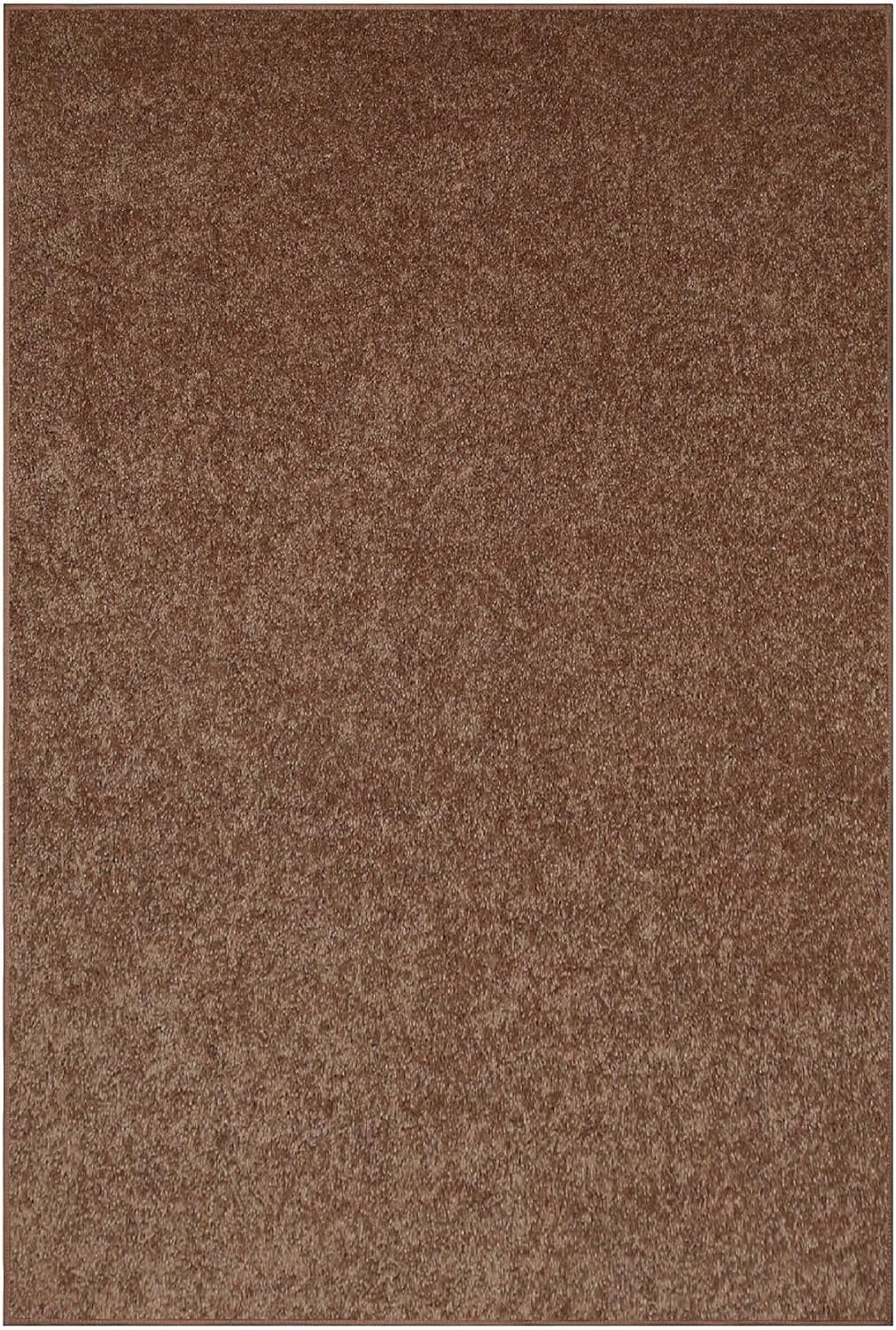 Amazon.com: Ambiant Pet Friendly Solid Color Area Rugs Brown - 2' x 4 ...