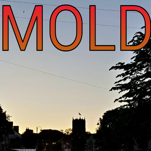 Mold - Flintshire Town - App on Amazon Appstore
