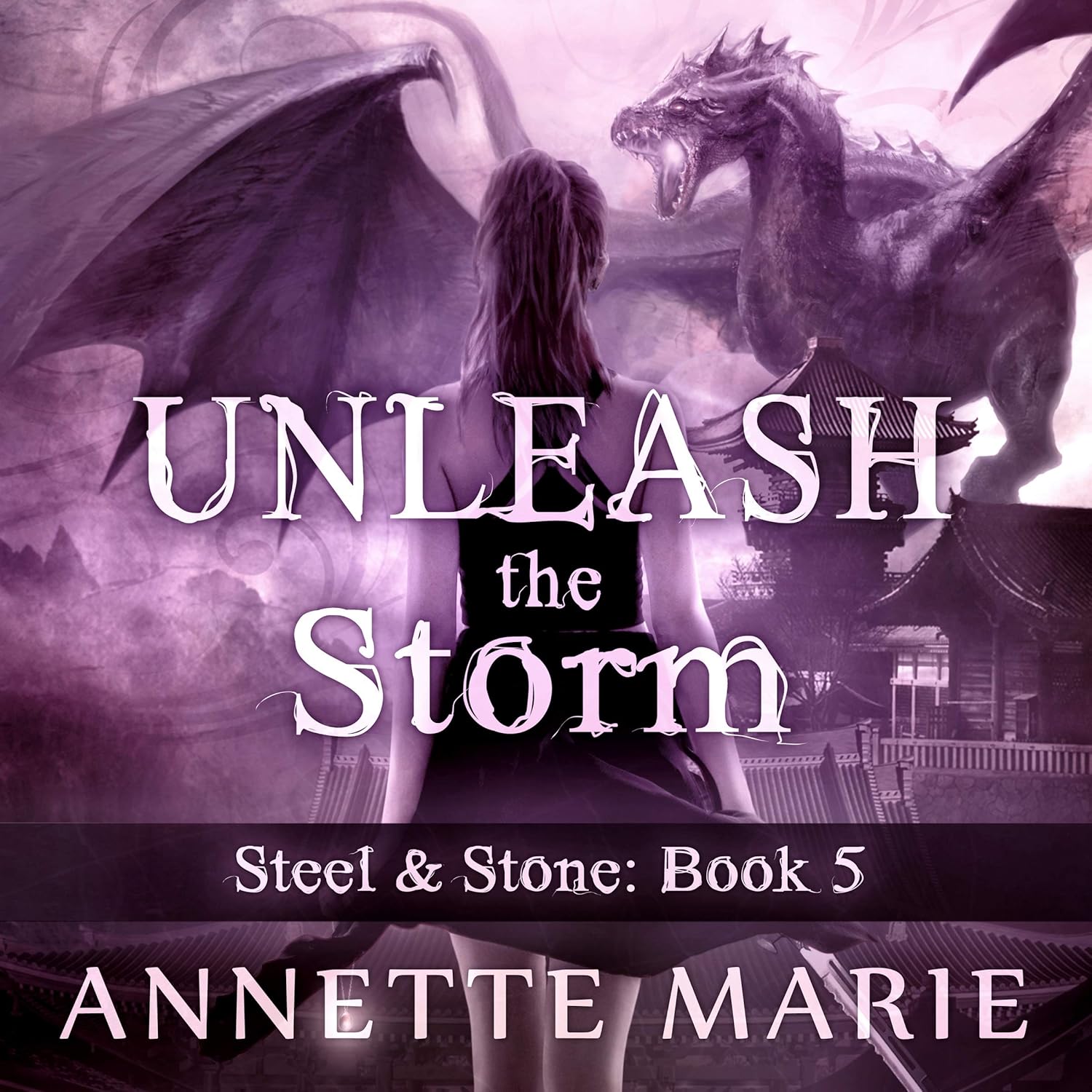 Unleash the Storm (The Steel & Stone Series): Annette Marie ...