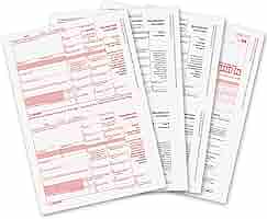 1099 Sonstiges Formular 2024 Account Summary, Payroll Account,