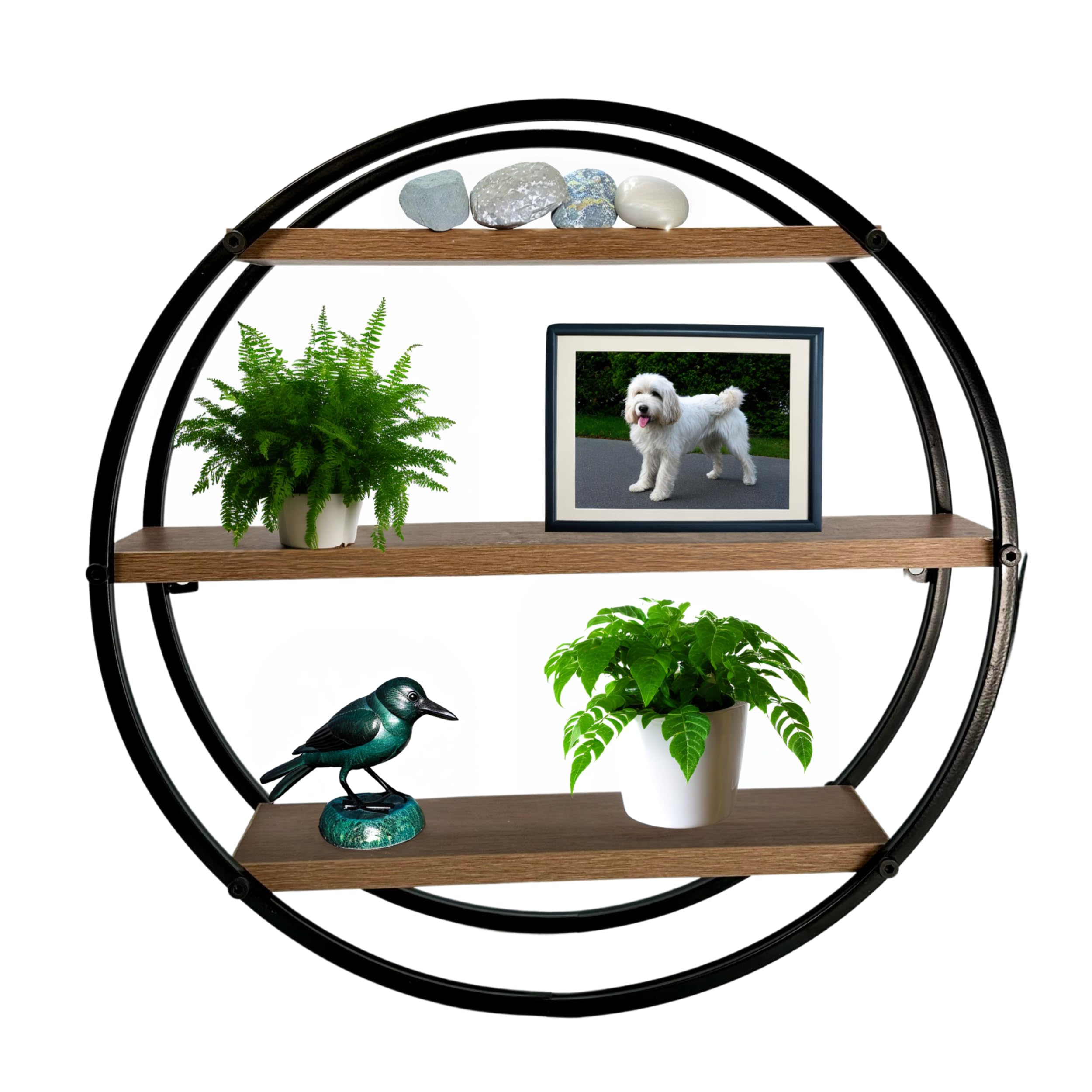 Amazon.com: Admired By Nature, Mounted Iron Circle Hanging Storage ...