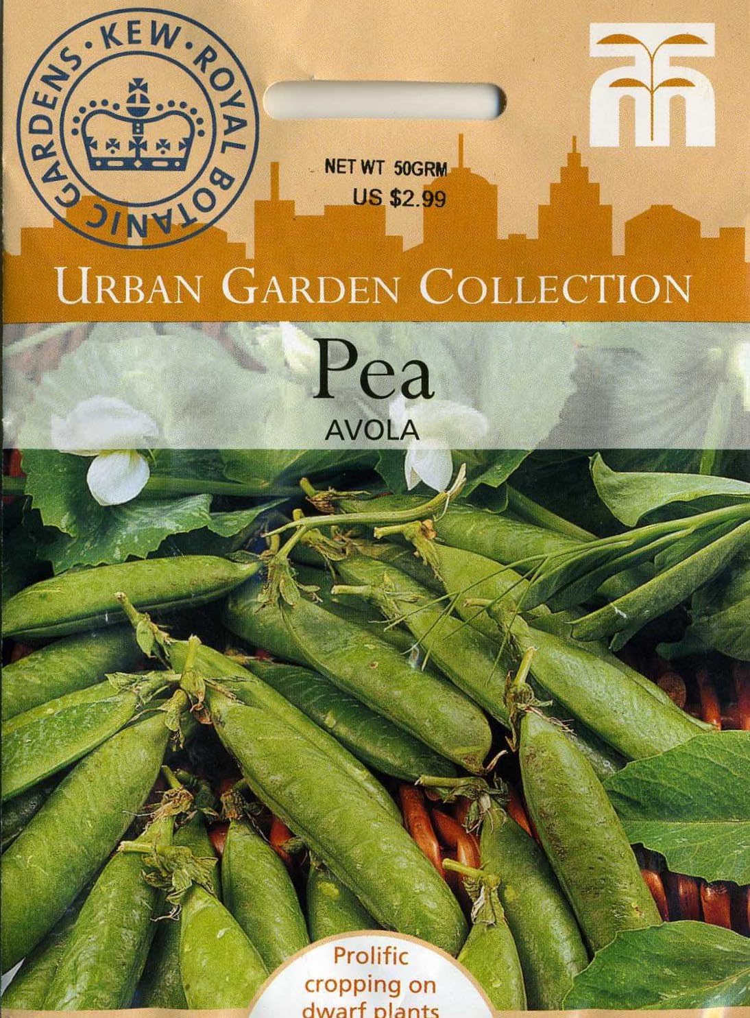Amazon.com : Thompson & Morgan 4883 Urban Garden Pea Avola Seed Packet ...