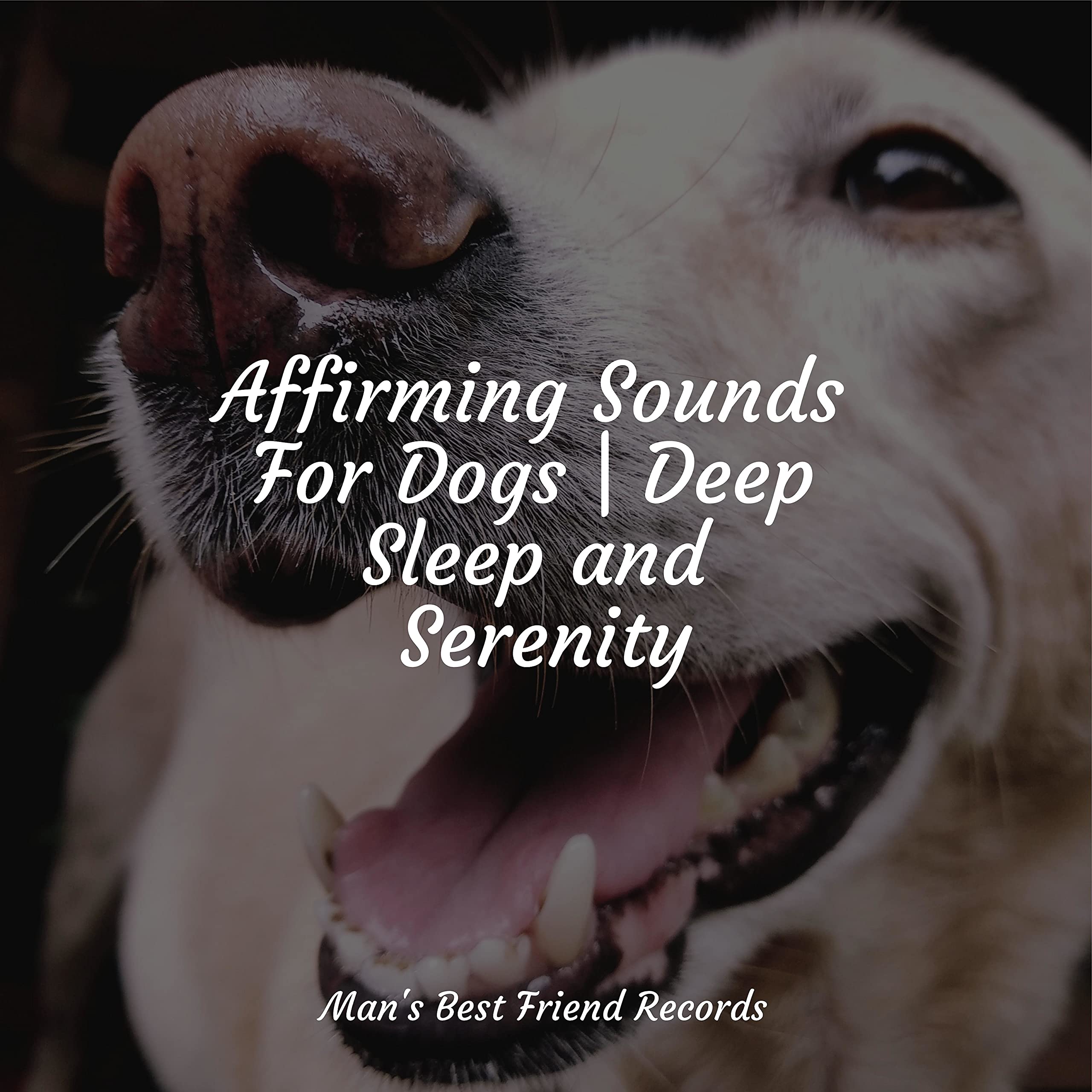 Hush Lullaby song by Clay Rivers from Palm Frond Serenity on Amazon Music