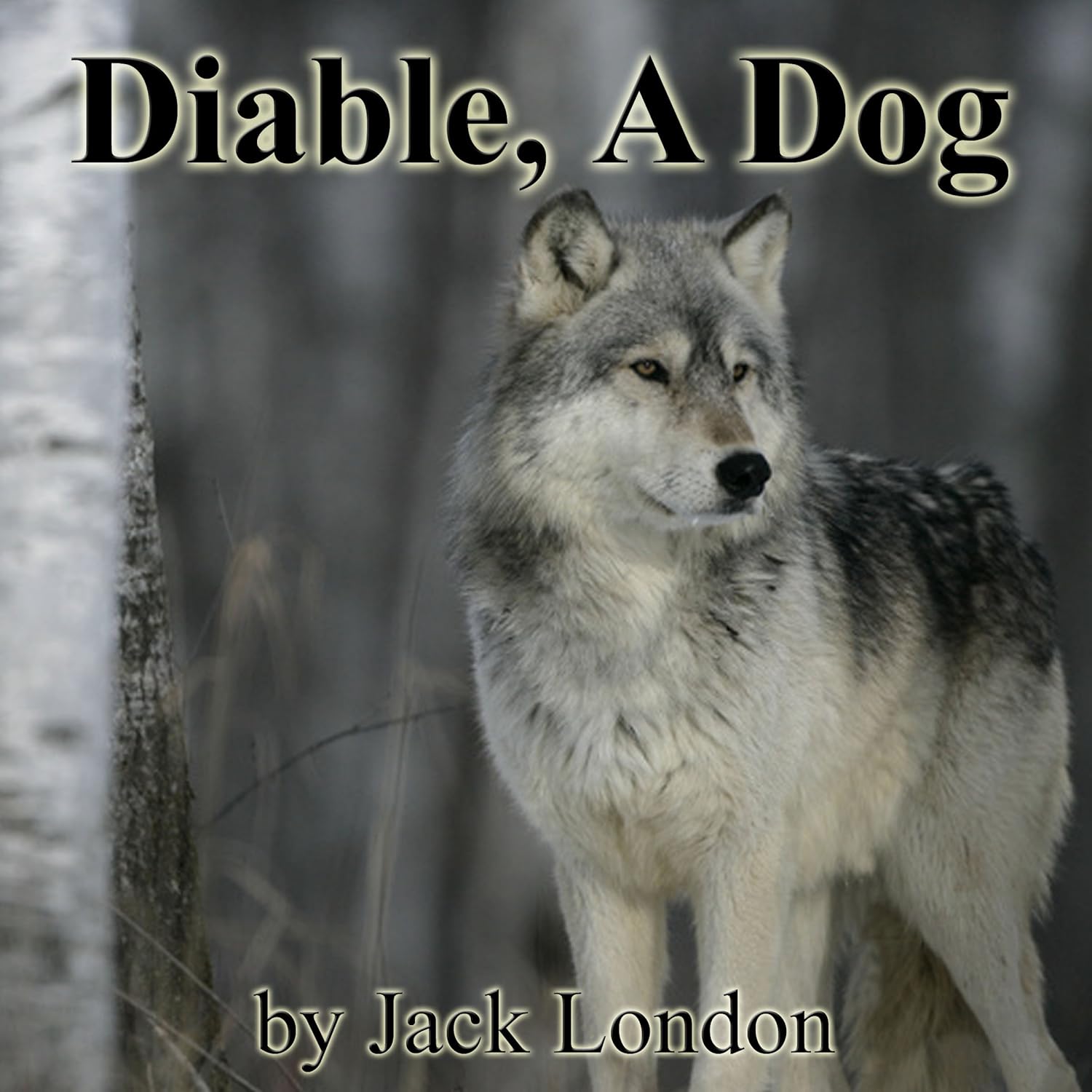 Amazon.com: Diable, A Dog (Audible Audio Edition): Jack London, Walter ...