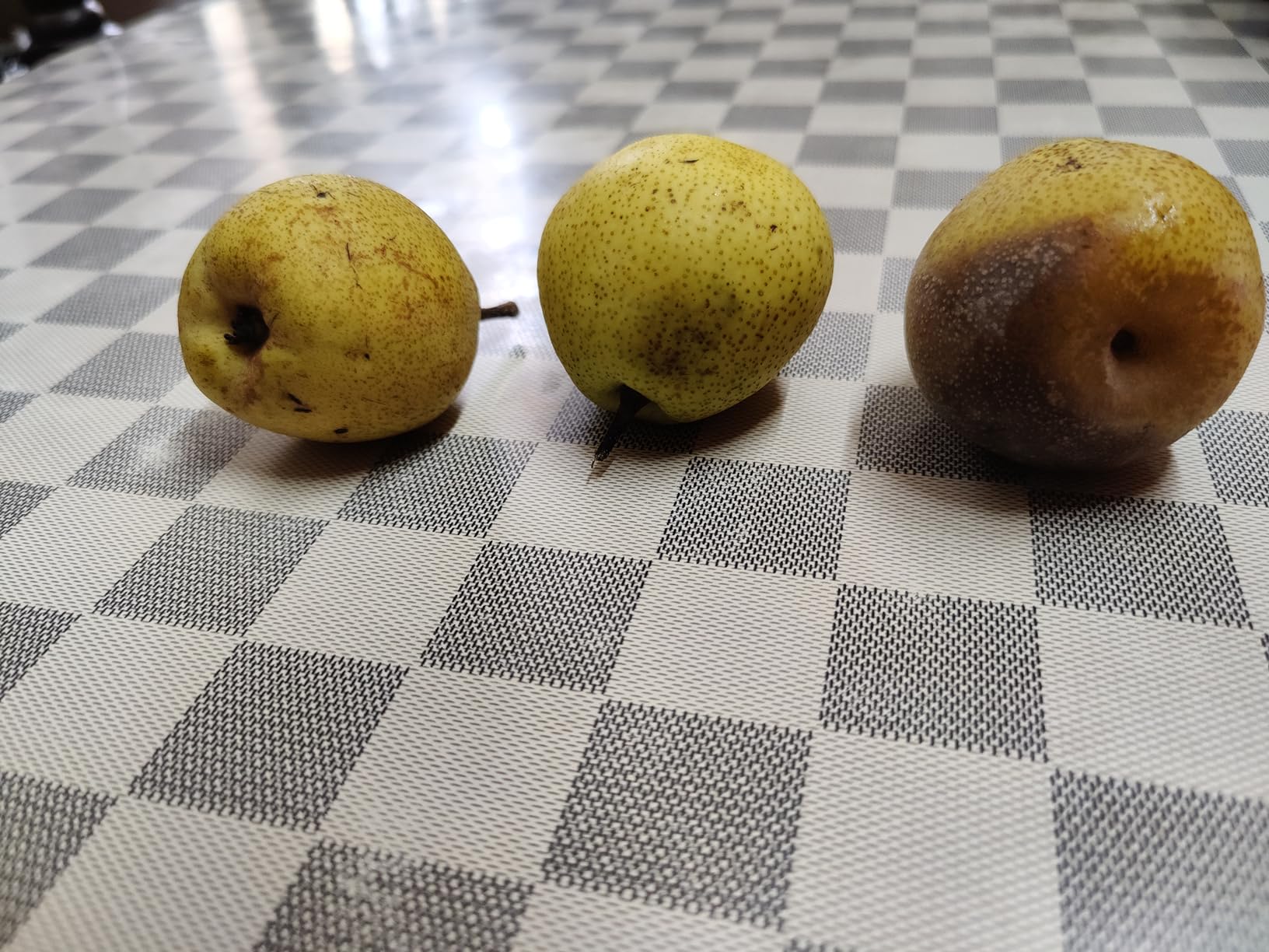 Fresh Pear Indian Nashpati Fruit, 500 g : Amazon.in: Grocery & Gourmet ...