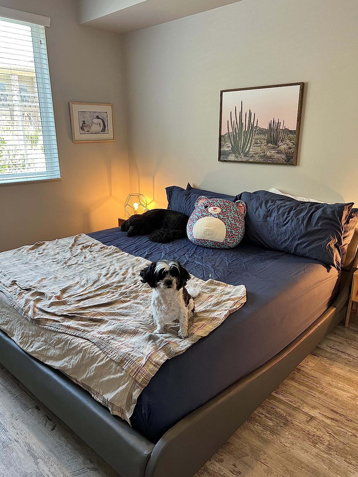 $33/mo - Finance HomSof Queen Size Faux Leather Upholstered Platform ...