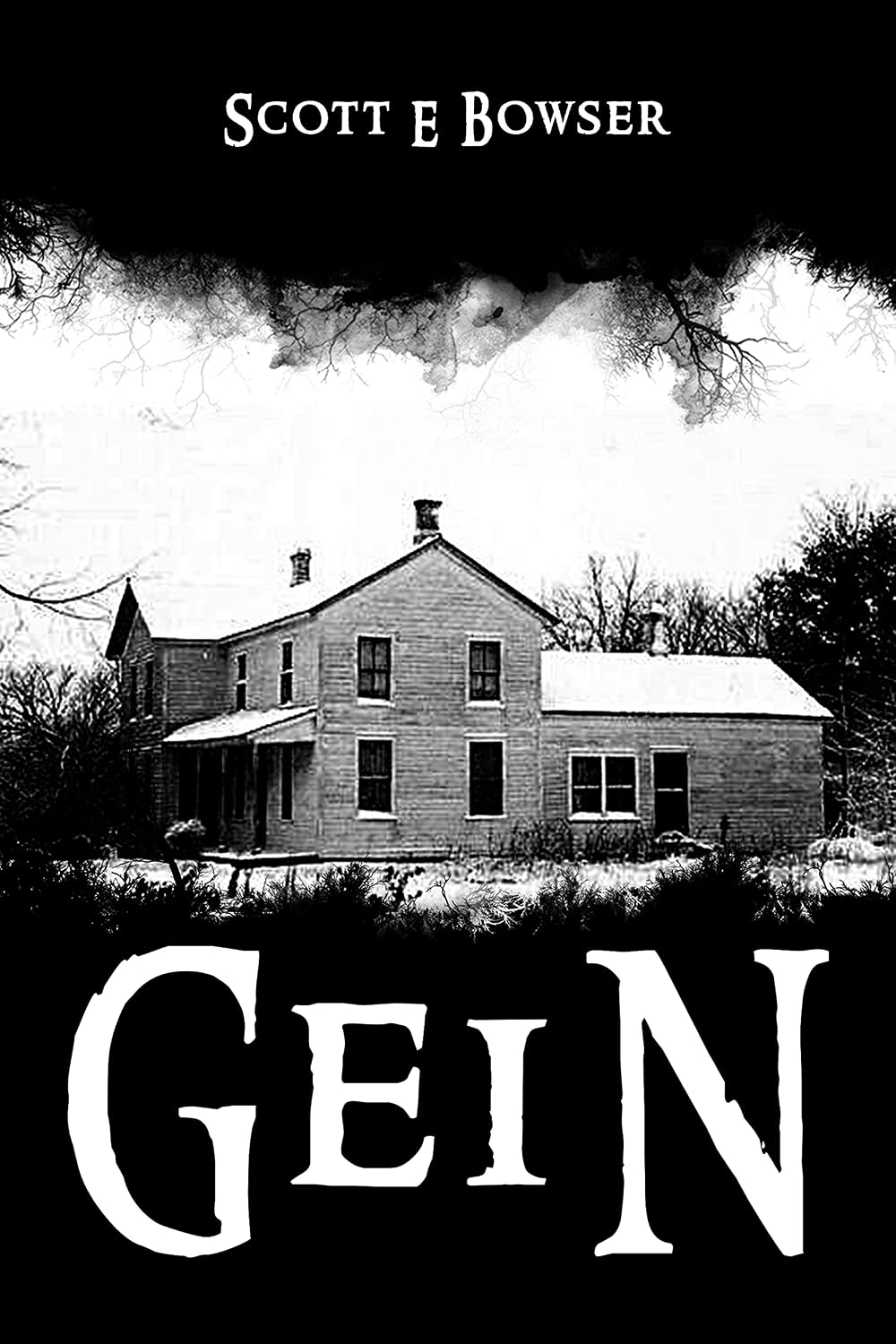 Amazon.com: GEIN eBook : Bowser, Scott: Kindle Store