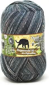 Amazon.com: Opal 6ply Sock Yarn Rainforest #11213 Backpacker Rob